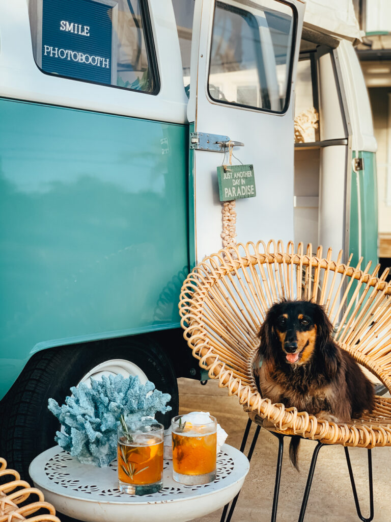 Rising Stars: Meet Courtney Slade - Voyage Austin