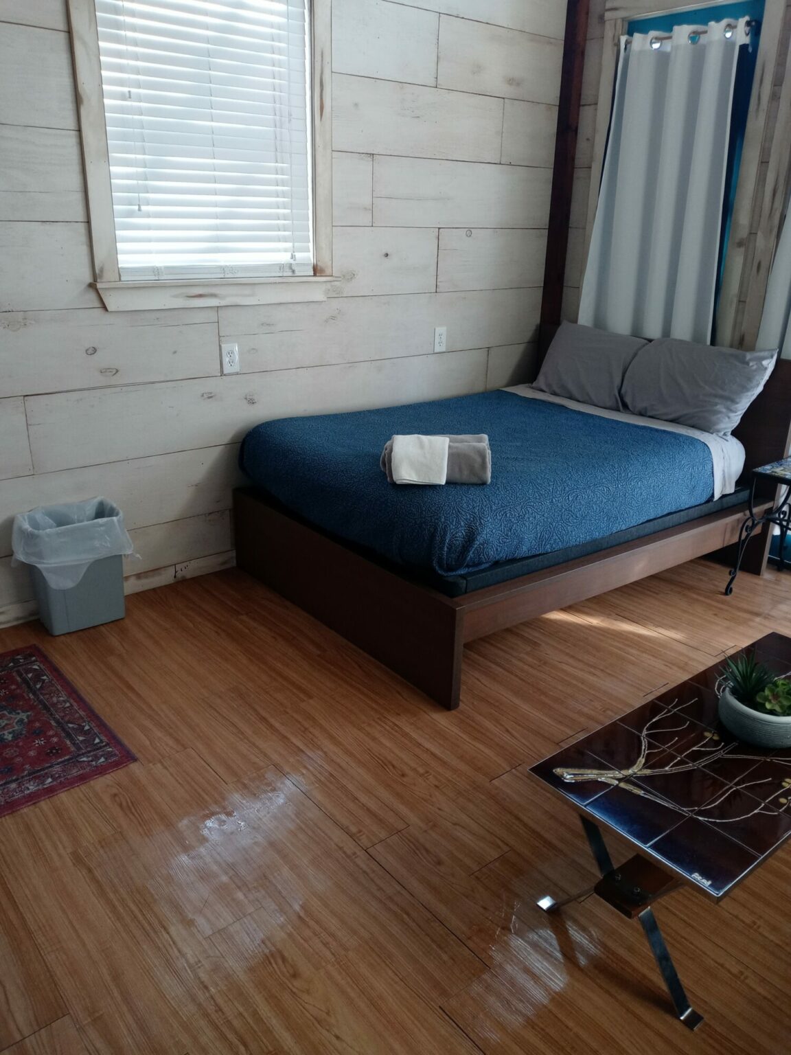 Meet Cheyne Maclaskey-Will - Voyage Austin