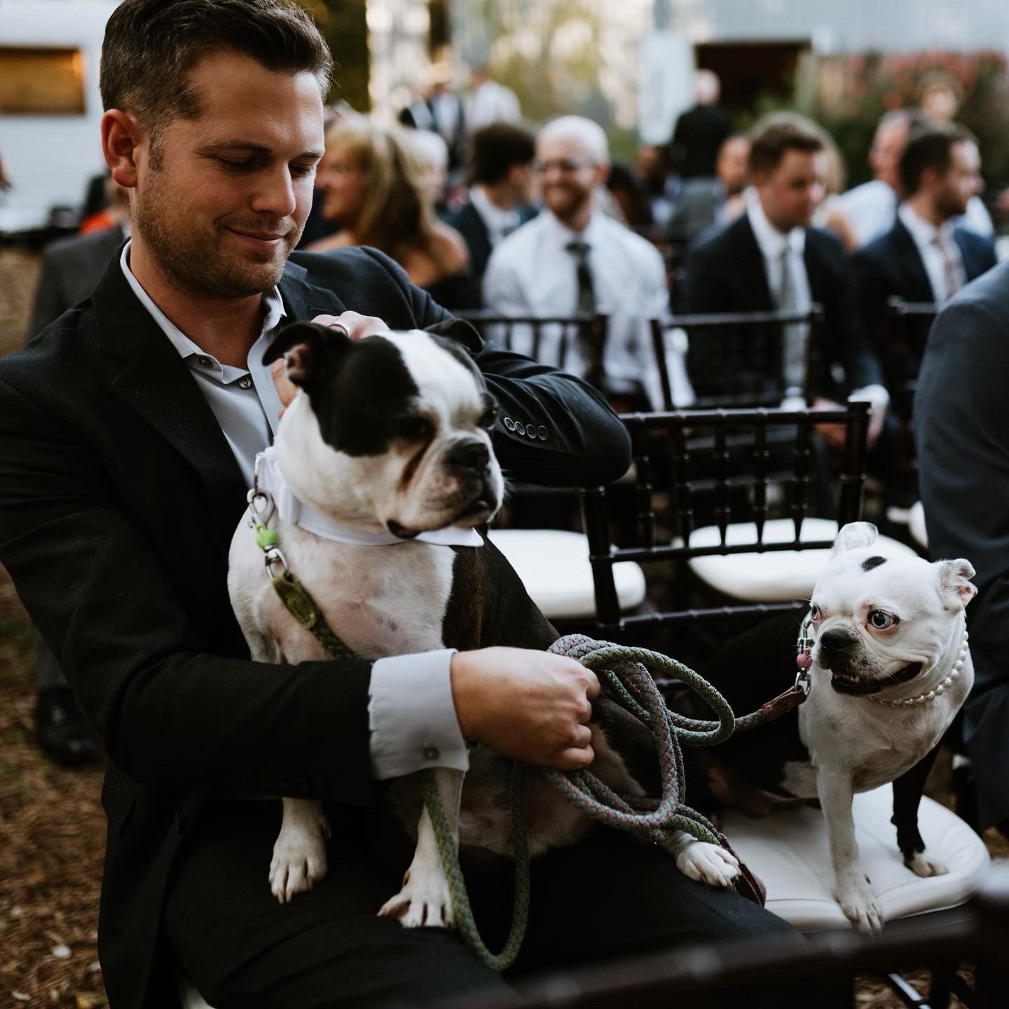 Meet Evan Zwerneman of EZ Dog Stay and Play - Voyage Austin