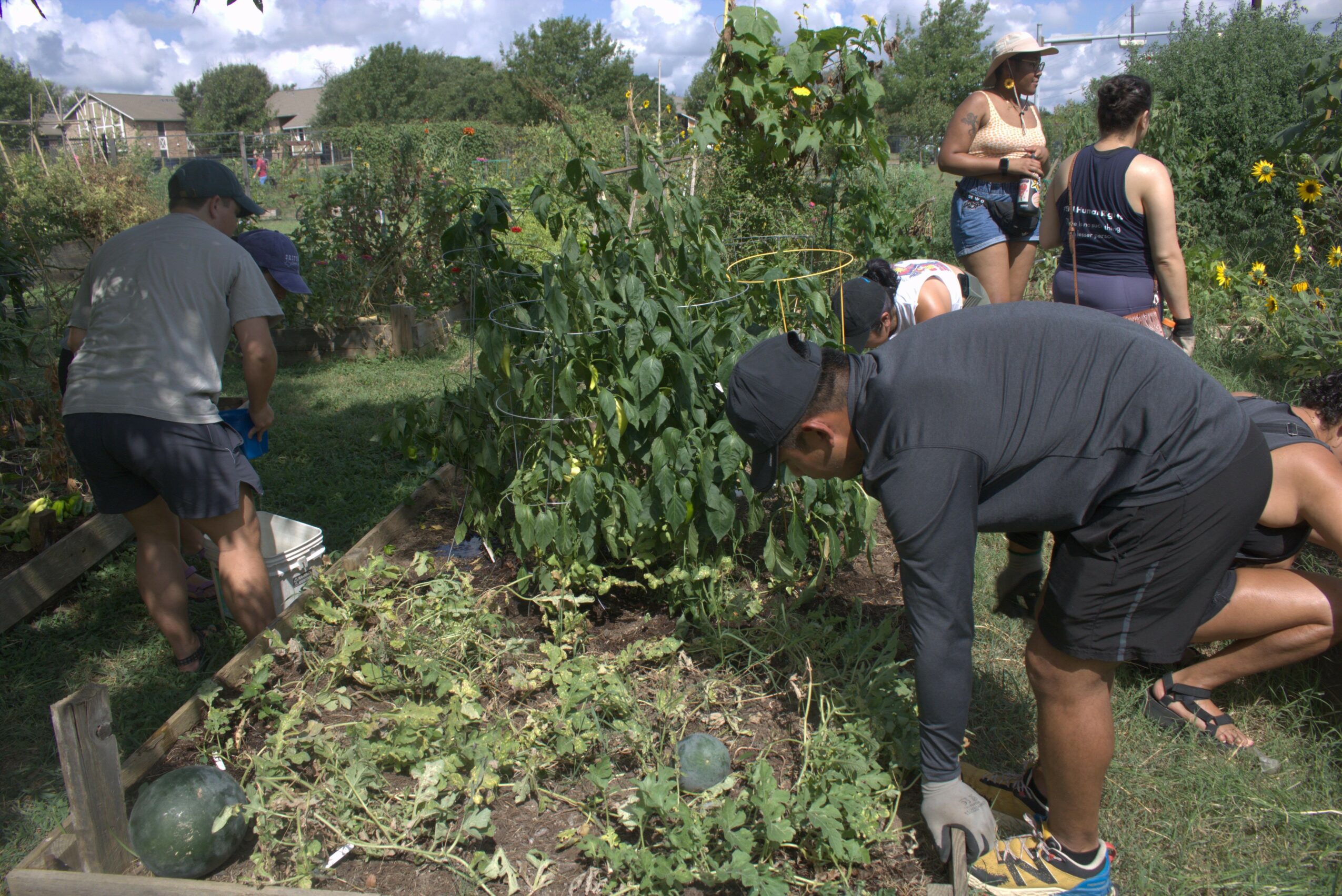 Life & Work with Ucha Abbah - Voyage Austin