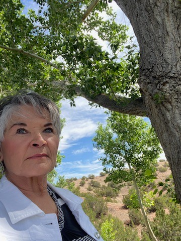 Rising Stars: Meet Fran Pedron - Voyage Austin