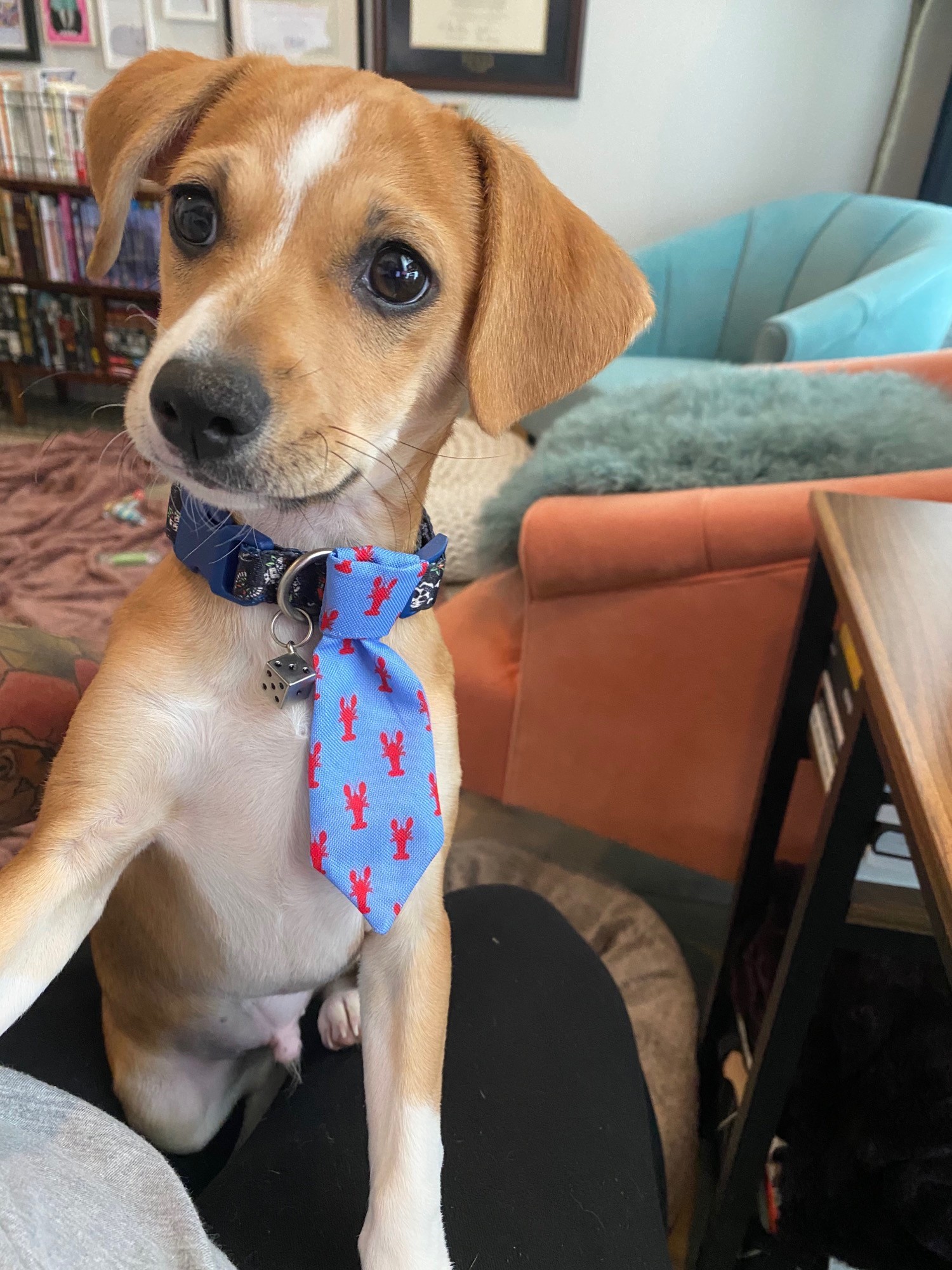 Hidden Gems: Meet Katelyn & Michael Rohde of Roland's Silly Goose Crew ...