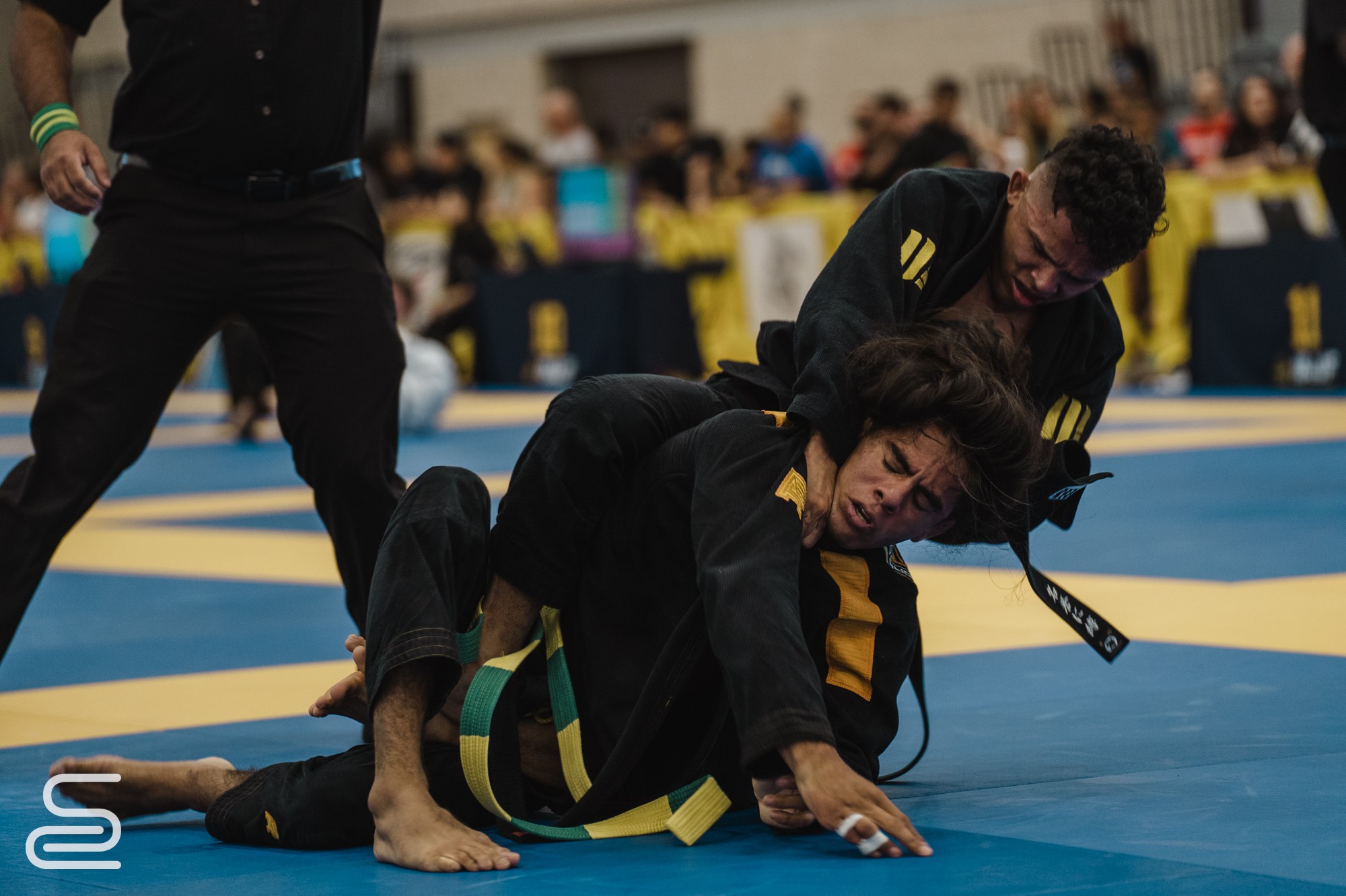 Daily Inspiration: Meet Sharon Chi - Voyage Austin