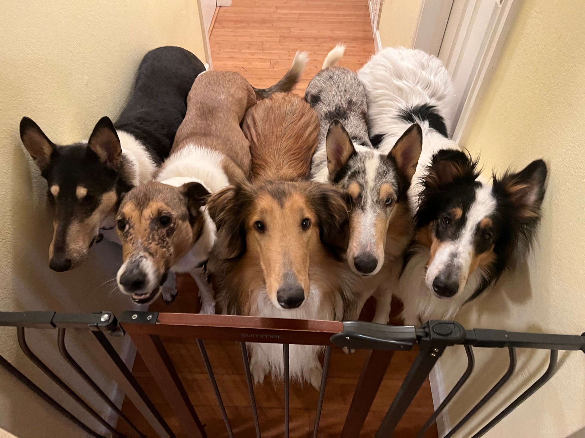 Meet Amy Johnson-Carney - Voyage Austin