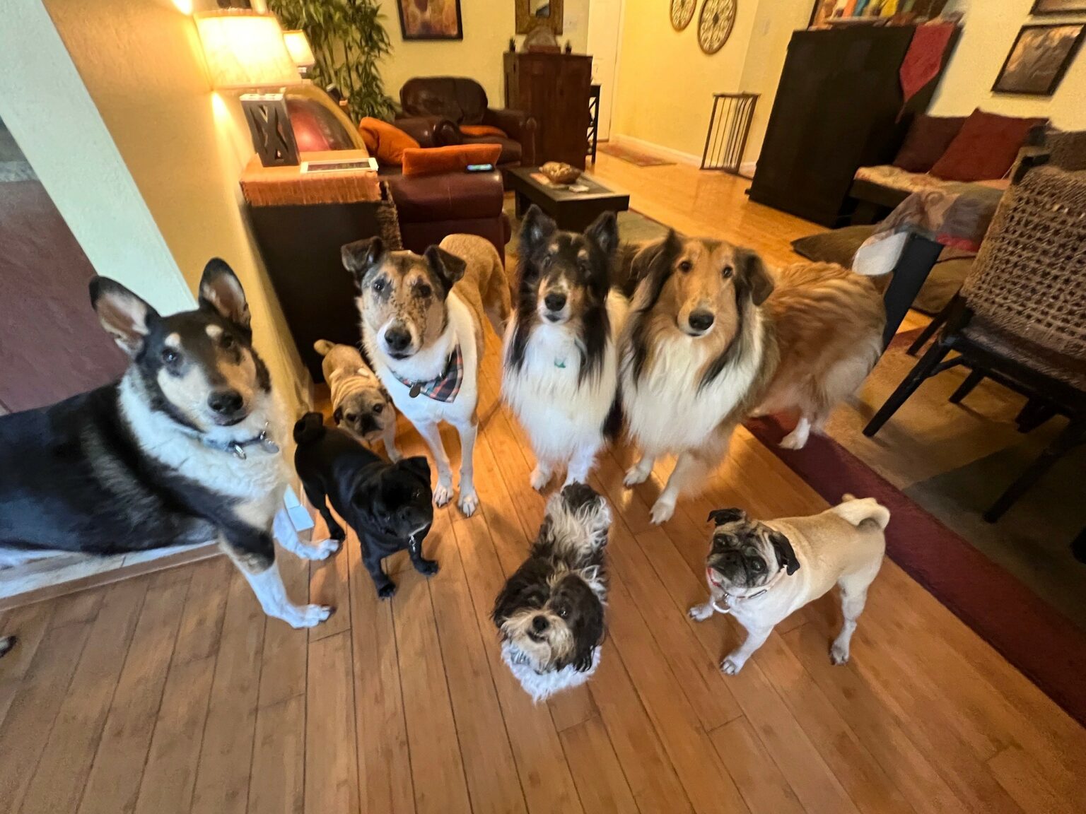 Meet Amy Johnson-Carney - Voyage Austin