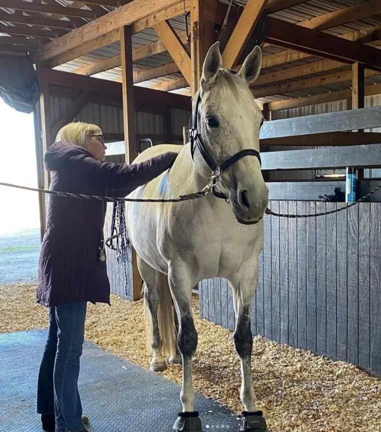 Meet Christina Hardinger of Skillful Paws - Voyage Austin