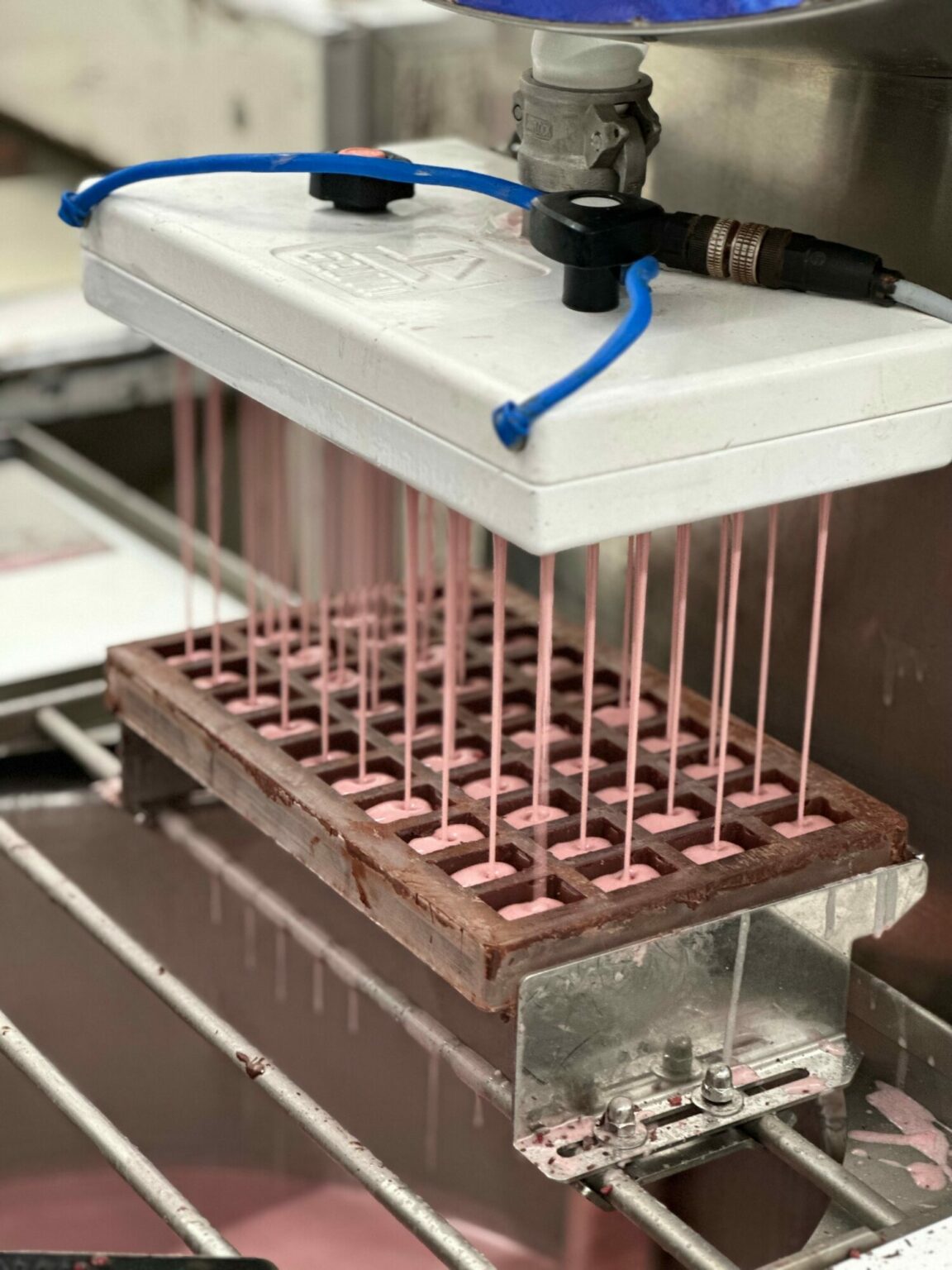 Meet David Jacobowitz of Nebula Snacks - Voyage Austin