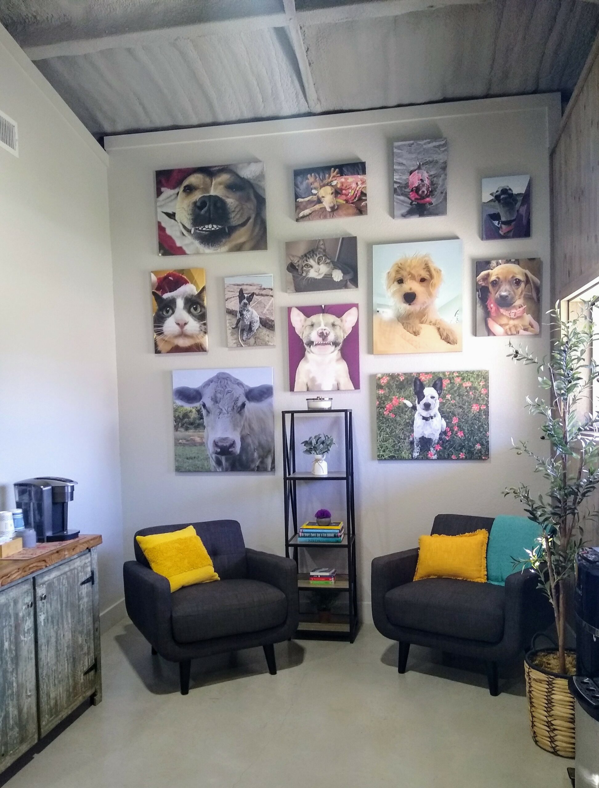 Hidden Gems: Meet Dr. Nancy St. Peter of Granger Veterinary Hospital ...