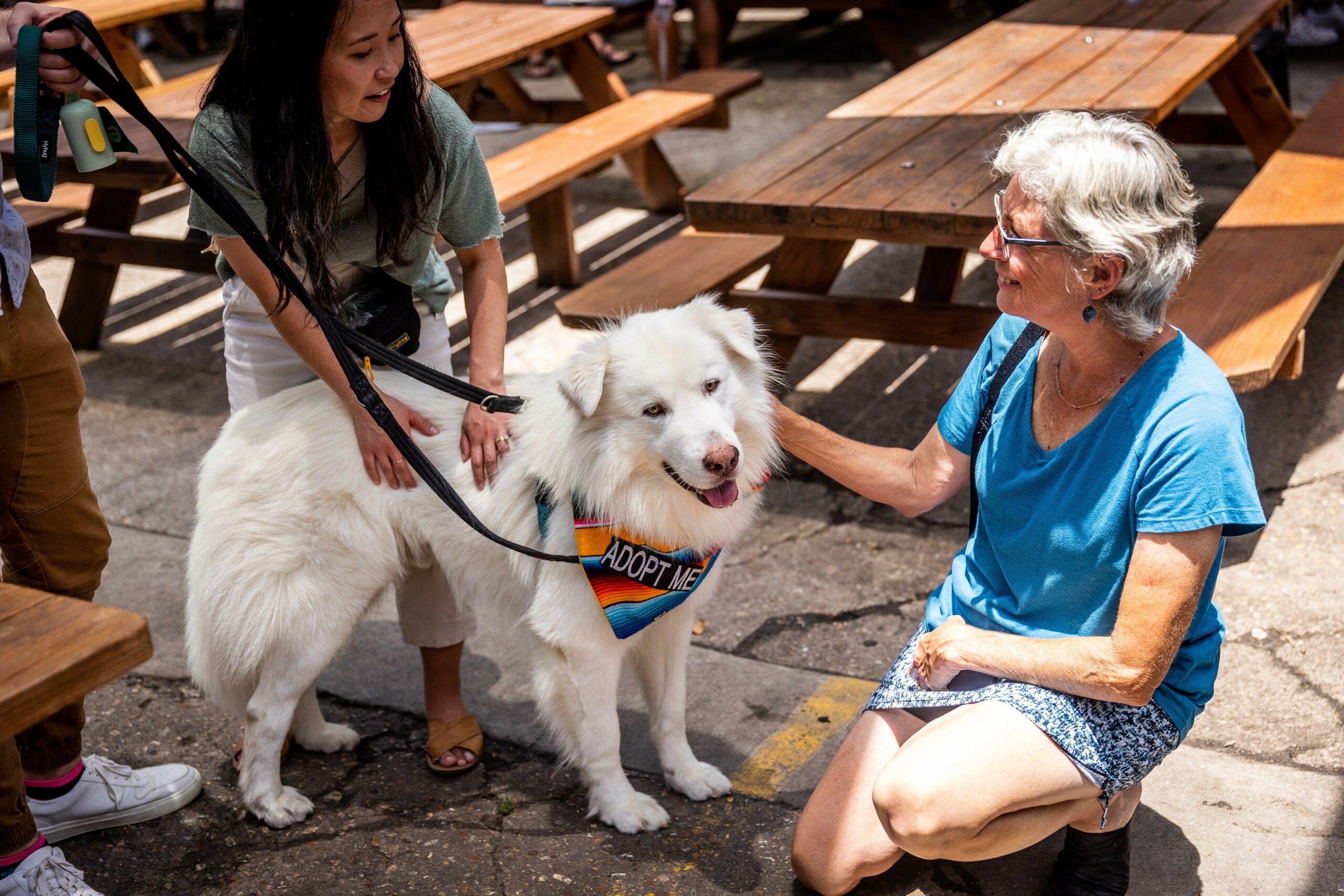 Meet Eileen McFall of Georgetown - Voyage Austin