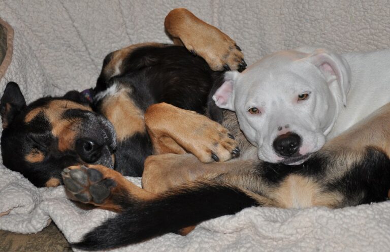 Meet Eileen McFall of Georgetown - Voyage Austin