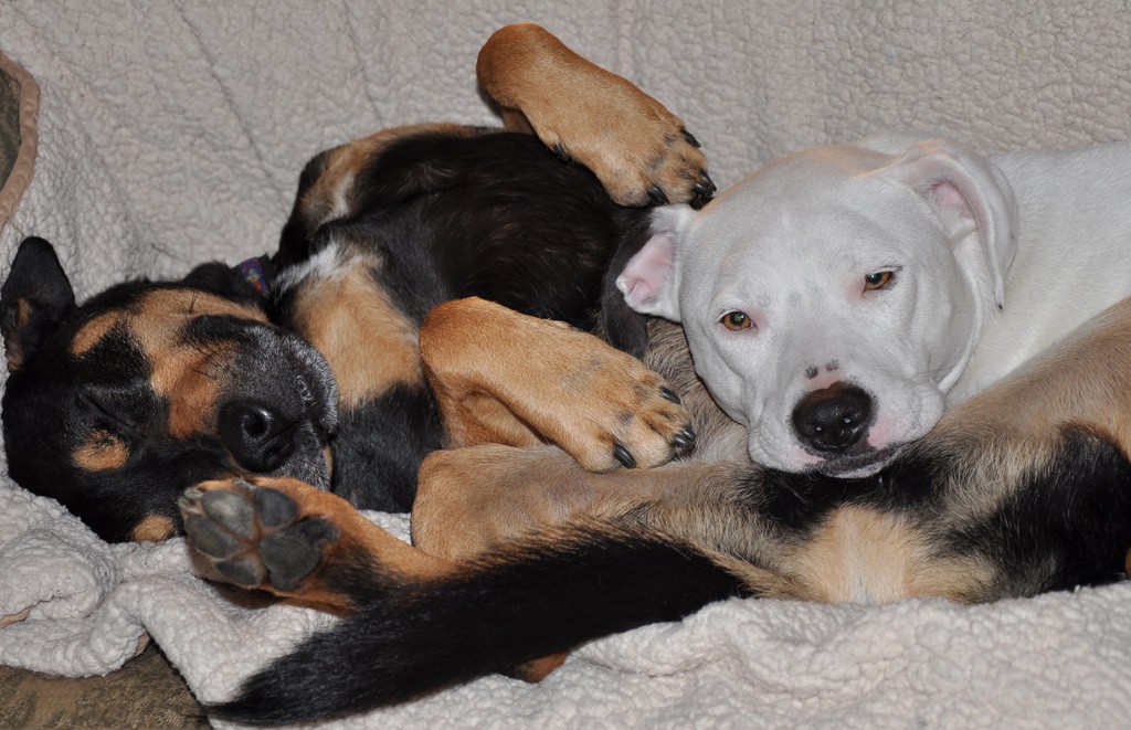 Meet Eileen McFall of Georgetown - Voyage Austin