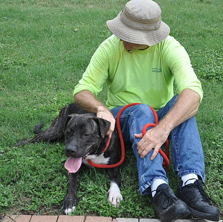 Meet Eileen McFall of Georgetown - Voyage Austin