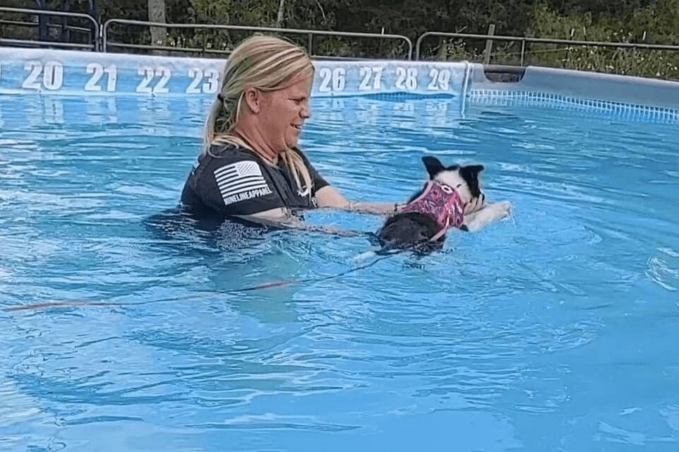 Exploring Life & Business with Jacqueline Sharp of WagPoint K9 - Voyage ...