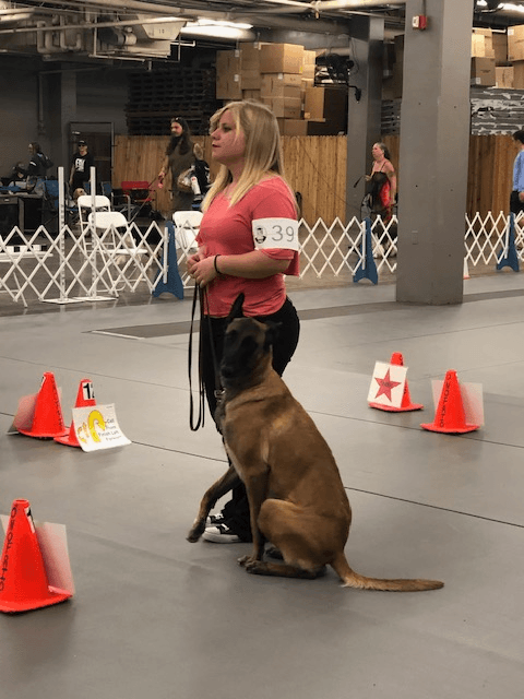 Exploring Life & Business with Jacqueline Sharp of WagPoint K9 - Voyage ...