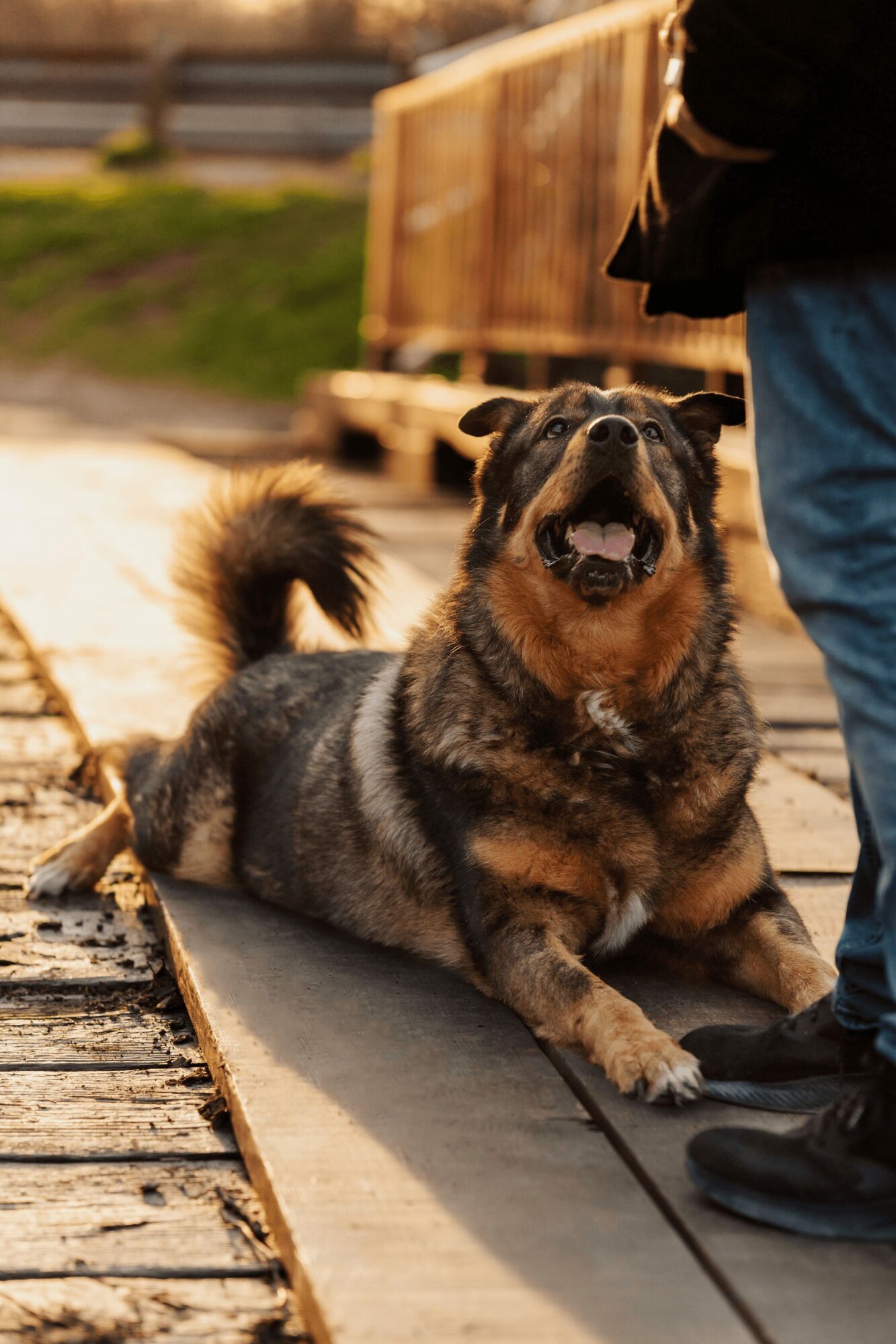 Conversations with Matthew Trawick - Voyage Austin