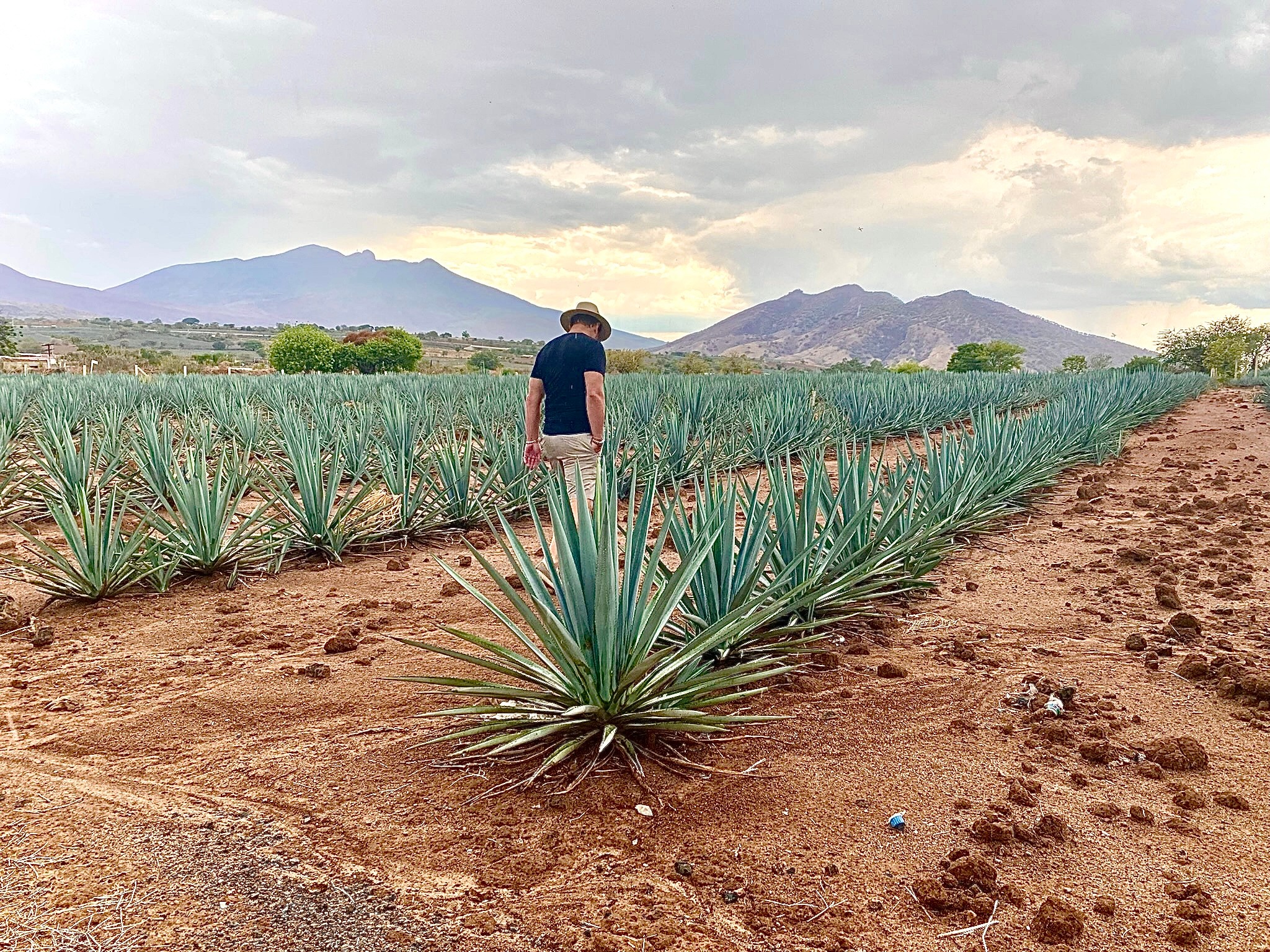 Community Highlights: Meet Rick "Rico" Olivo of Rico Spirits, LLC d/b/a ...