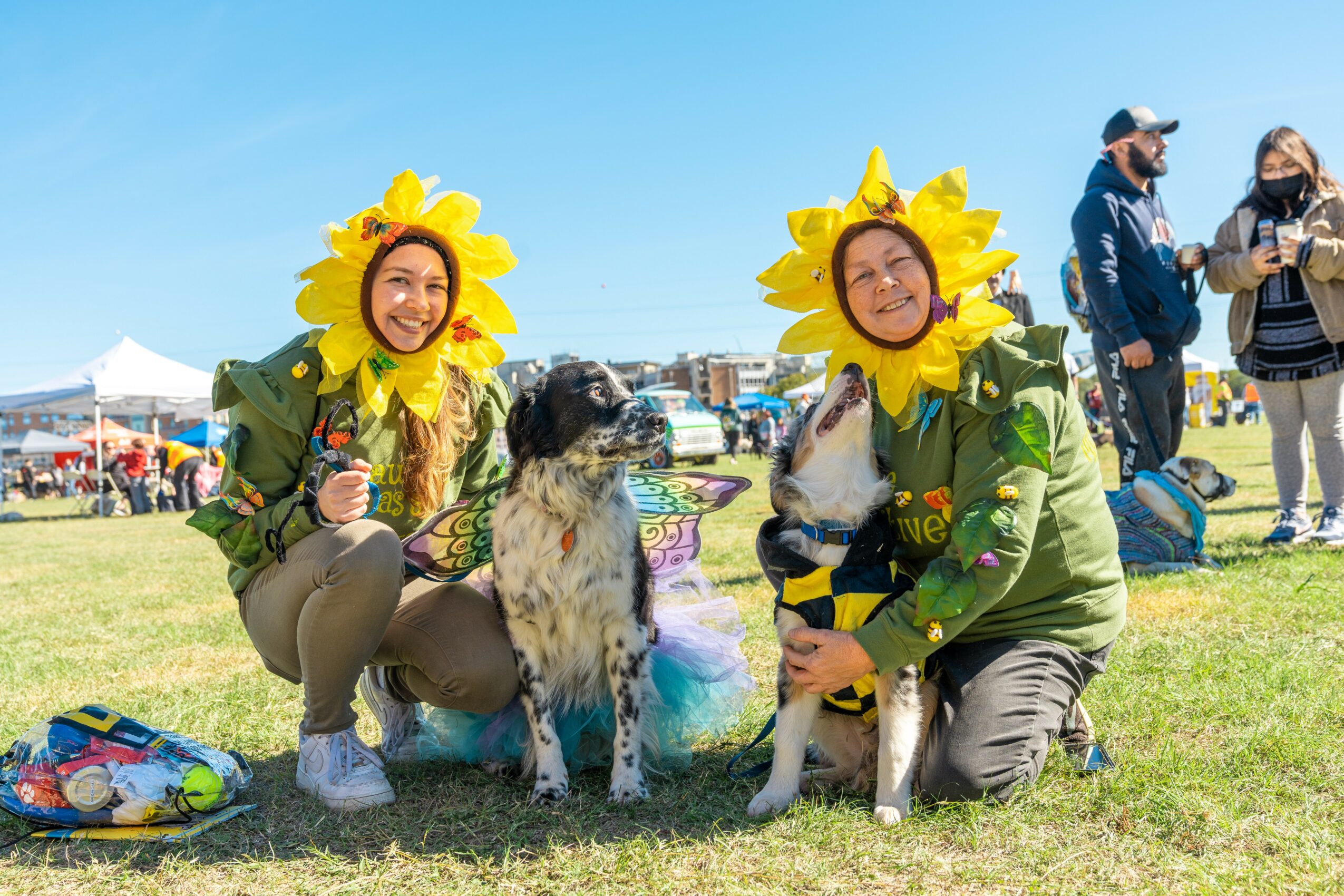 Meet Sheri Soltes of Austin - Voyage Austin