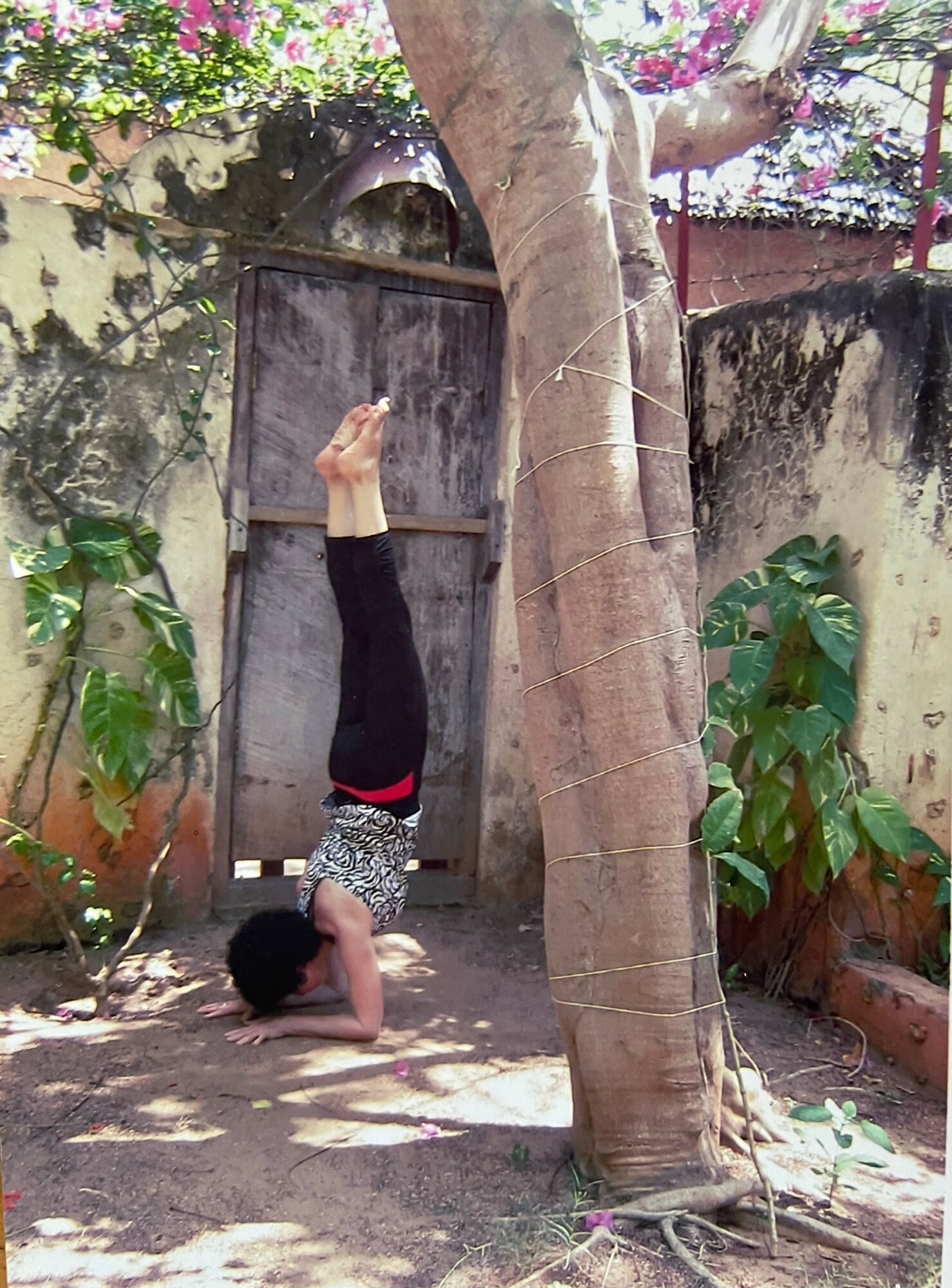 Daily Inspiration: Meet Sharon Moon - Voyage Austin