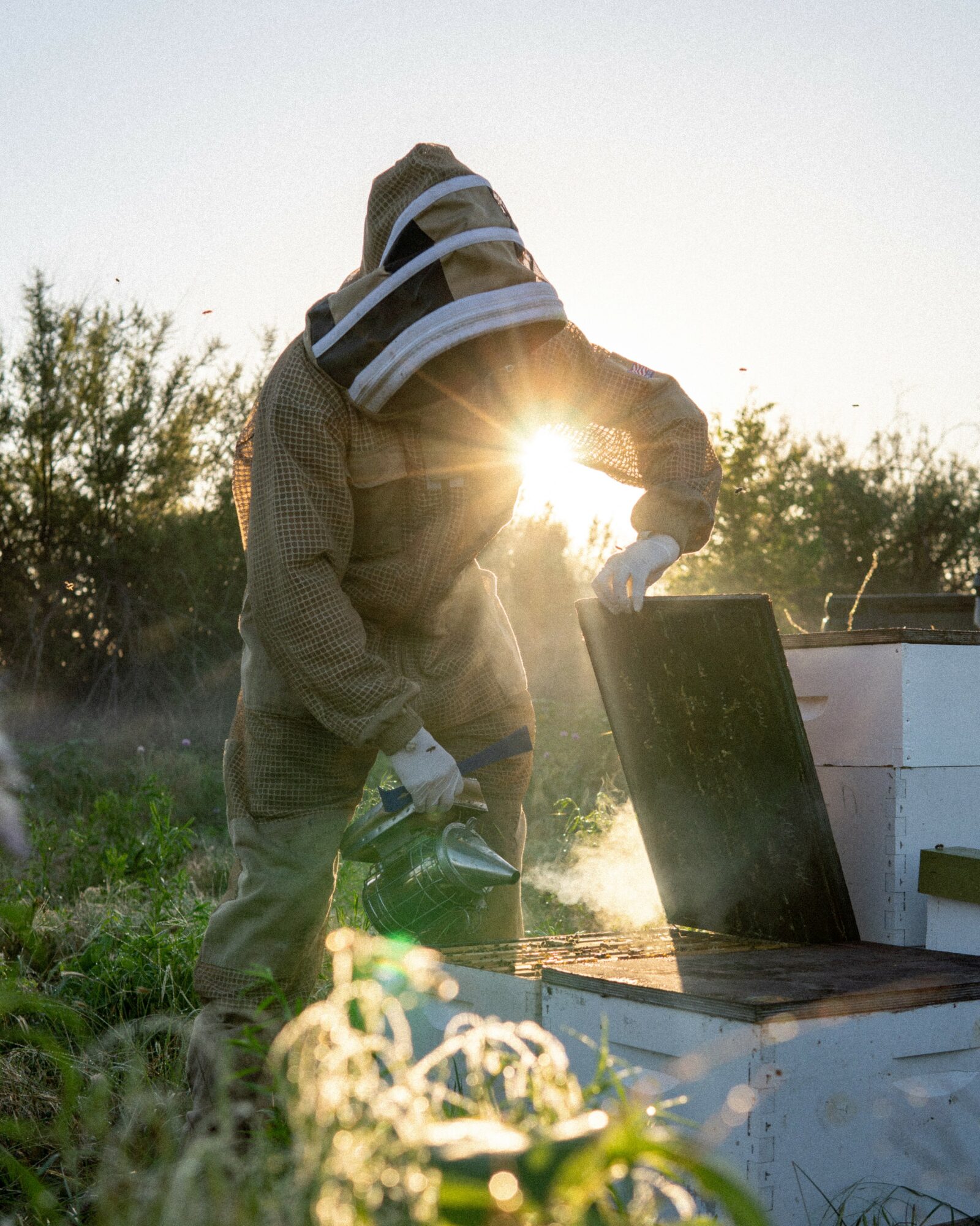Community Highlights: Meet Dylan Castro of Keepers Harvest - Voyage Austin