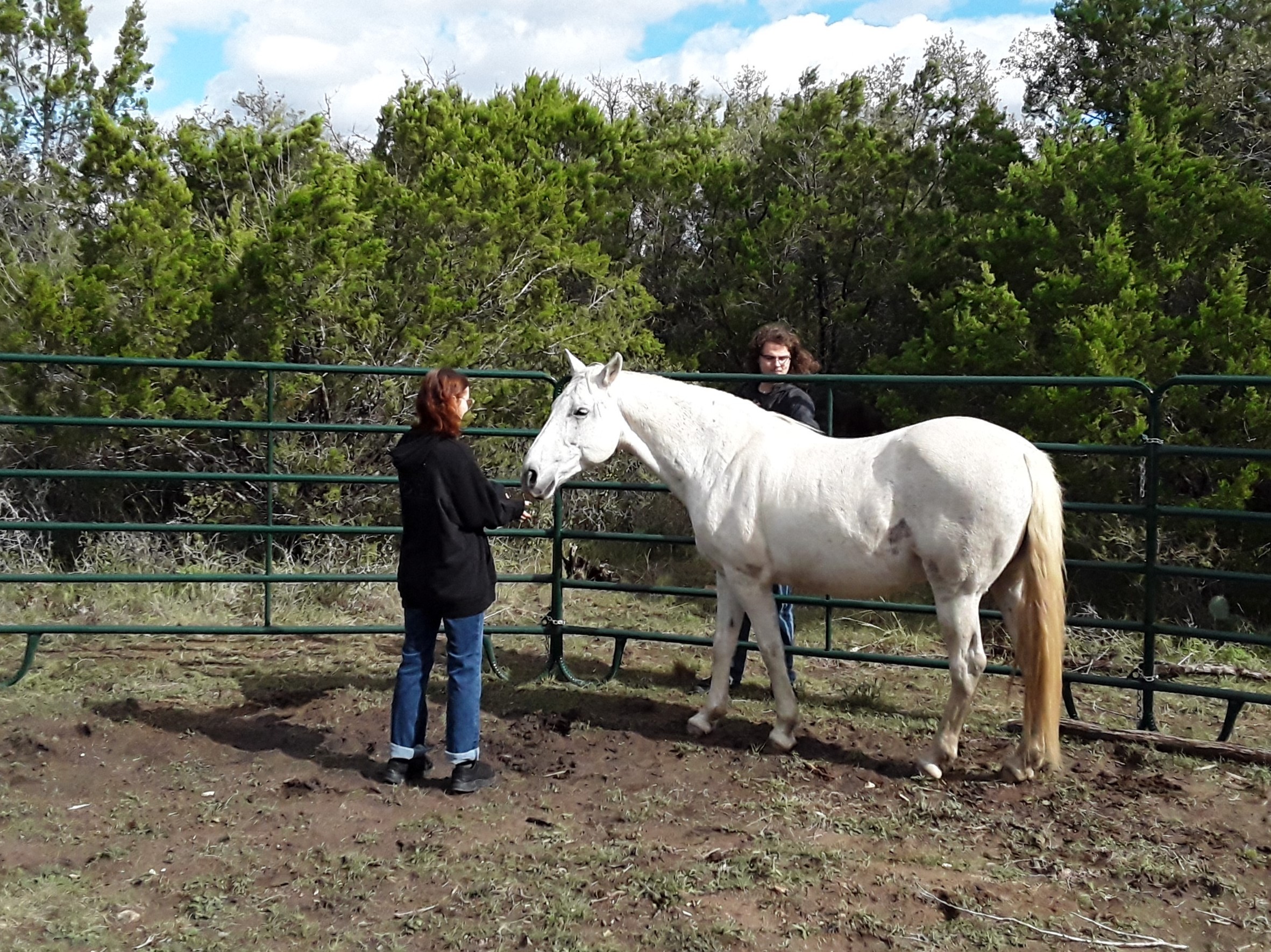 Daily Inspiration: Meet Heather Hanlin - Voyage Austin