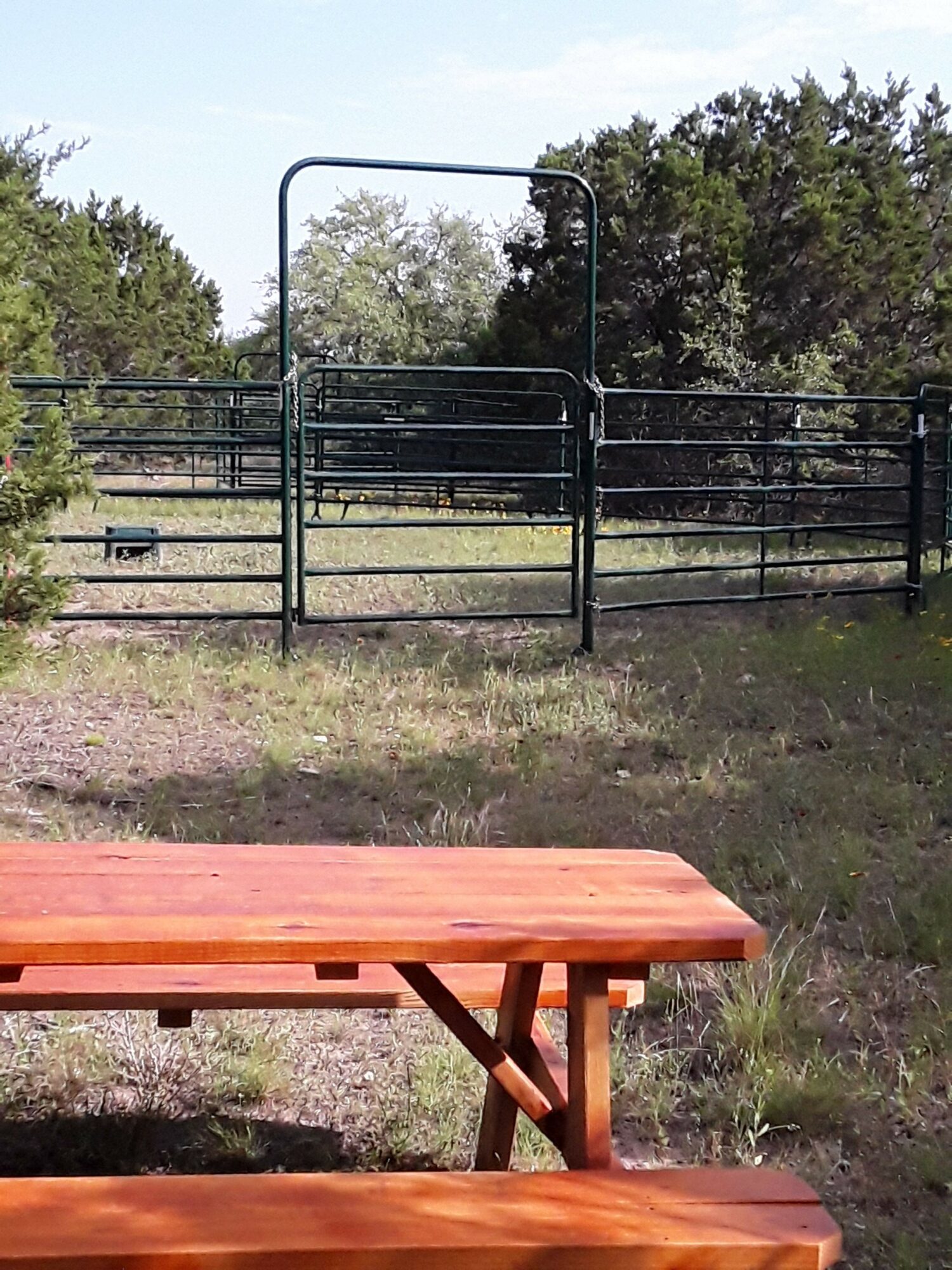 Daily Inspiration: Meet Heather Hanlin - Voyage Austin