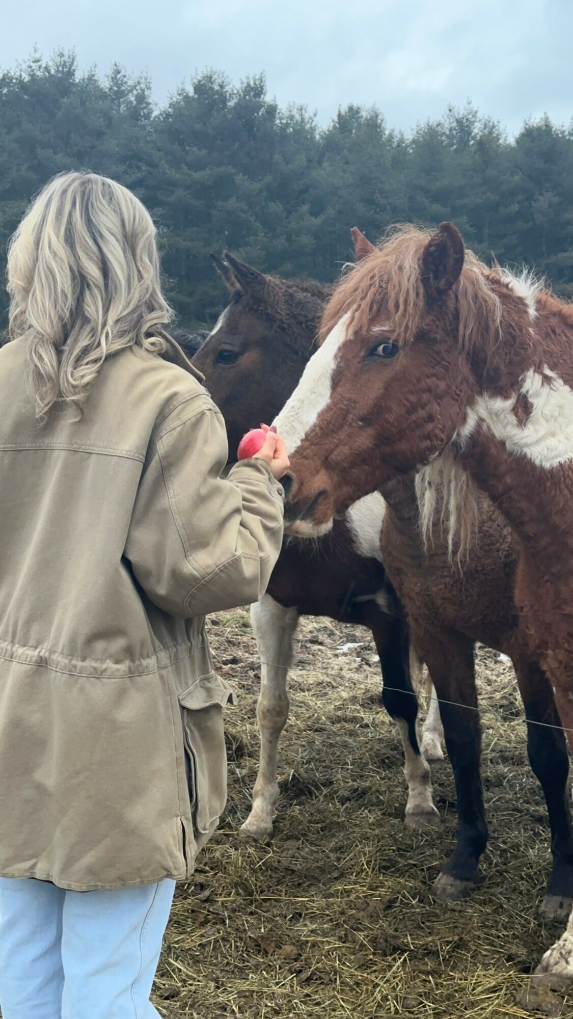 Meet Haley Grecsek of East Austin, Texas - Voyage Austin