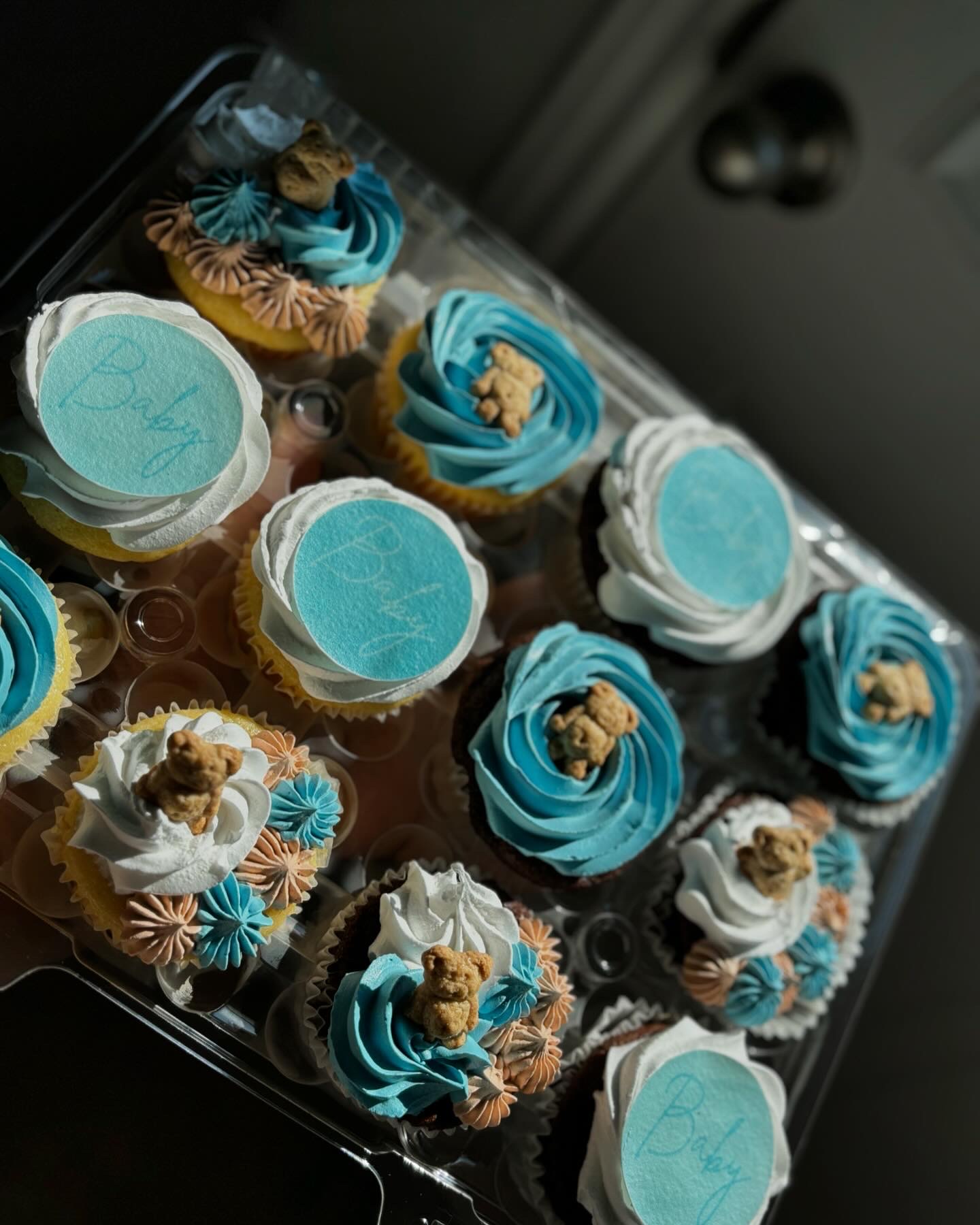 Rising Stars: Meet Tejanique Gibbs of Austin , TX - Voyage Austin