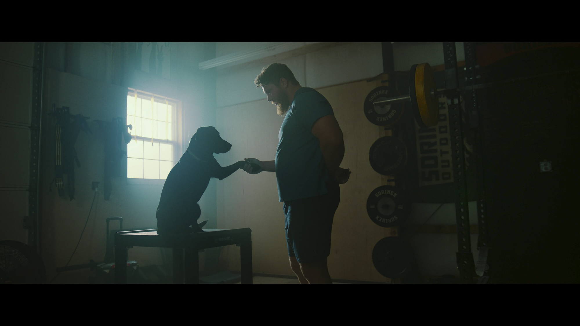 Rising Stars: Meet Mario Mattei of Austin - Voyage Austin