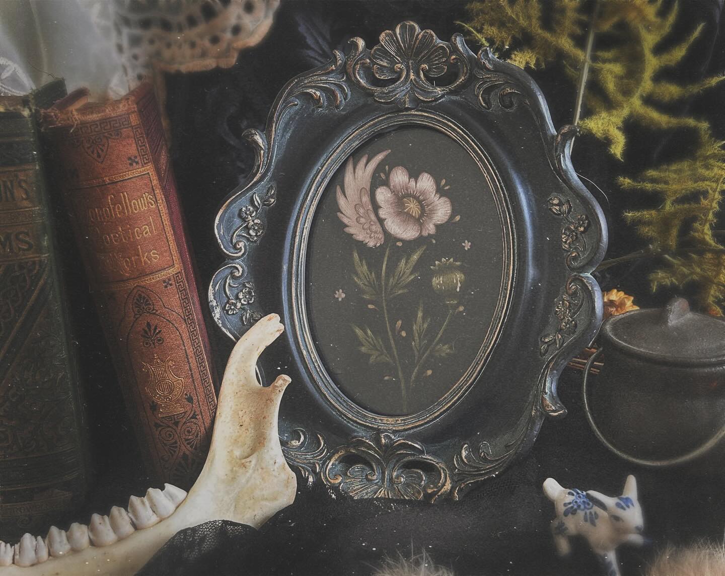 Life & Work with Colette Walters of North Austin - Voyage Austin