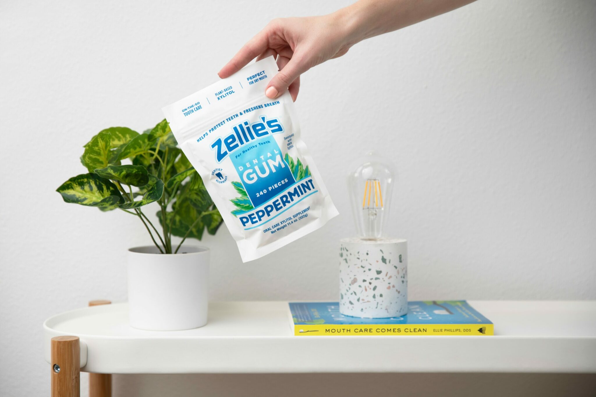 Community Highlights: Meet Ellie Phillips of Zellie's - Voyage Austin