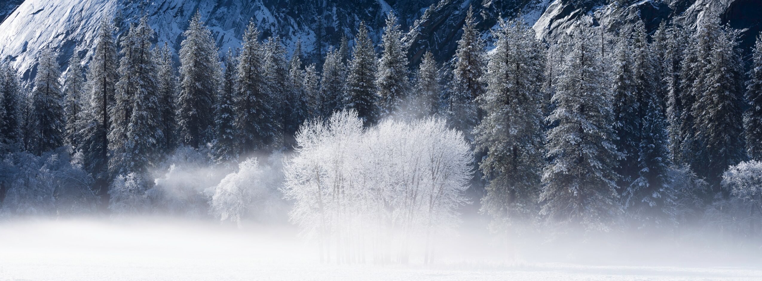 Daily Inspiration: Meet Matthew Trabold - Voyage Austin