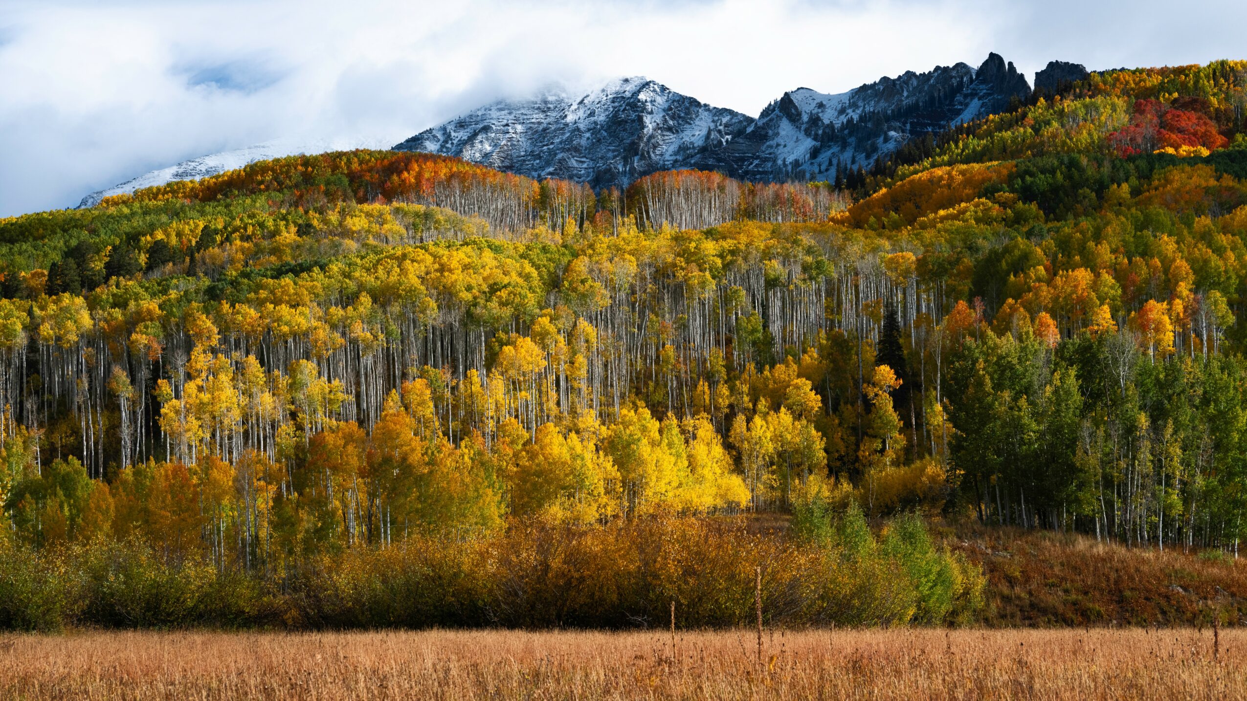 Daily Inspiration: Meet Matthew Trabold - Voyage Austin