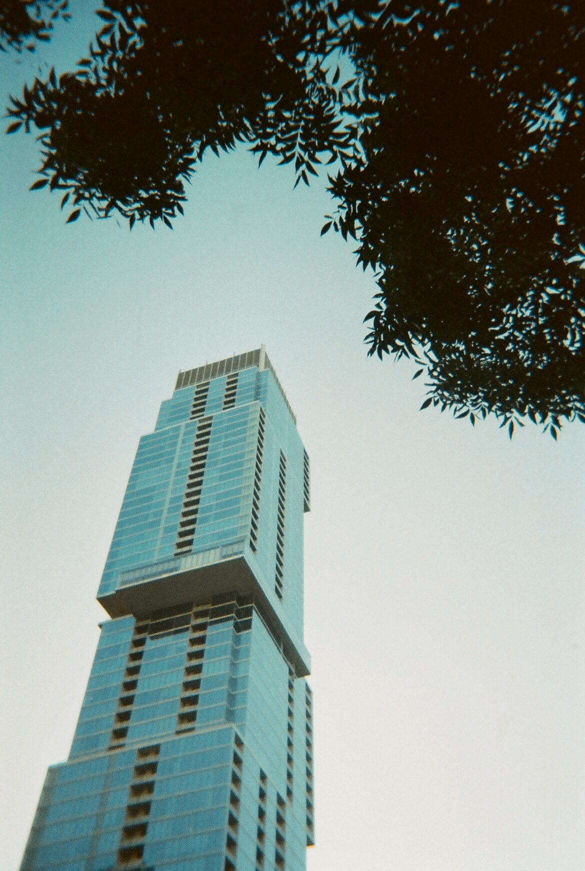 Rising Stars: Meet Abby Ketcham of Austin - Voyage Austin