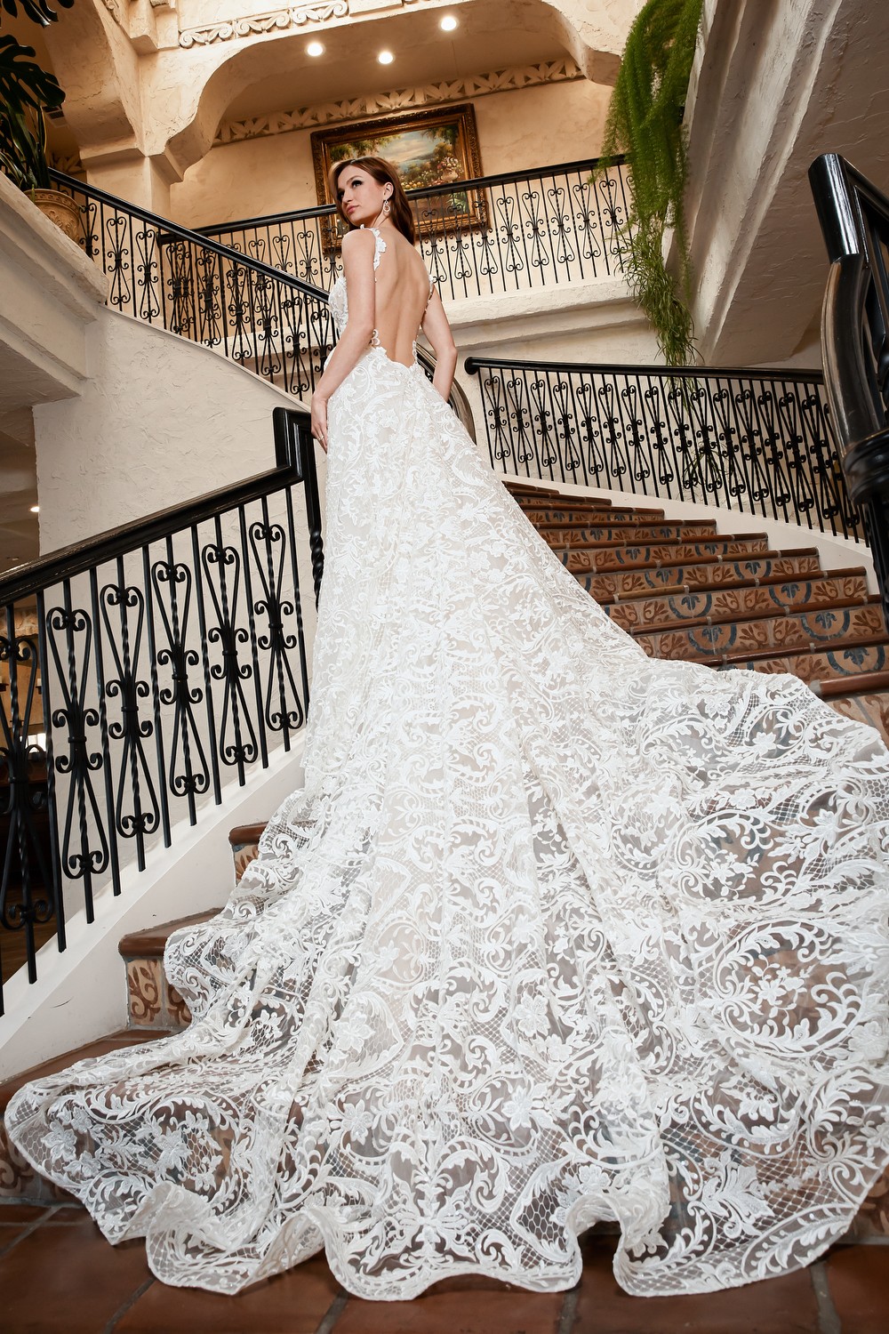 Daily Inspiration: Meet Stephen Dement - Voyage Austin