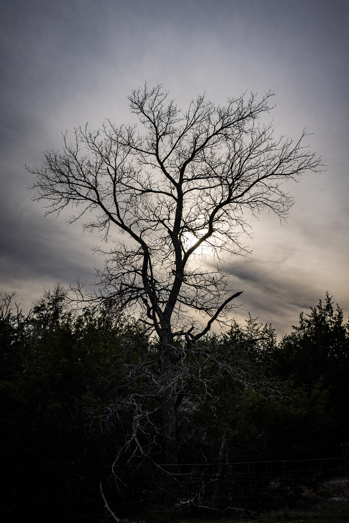 Meet Bill Ledbetter of Leander - Voyage Austin