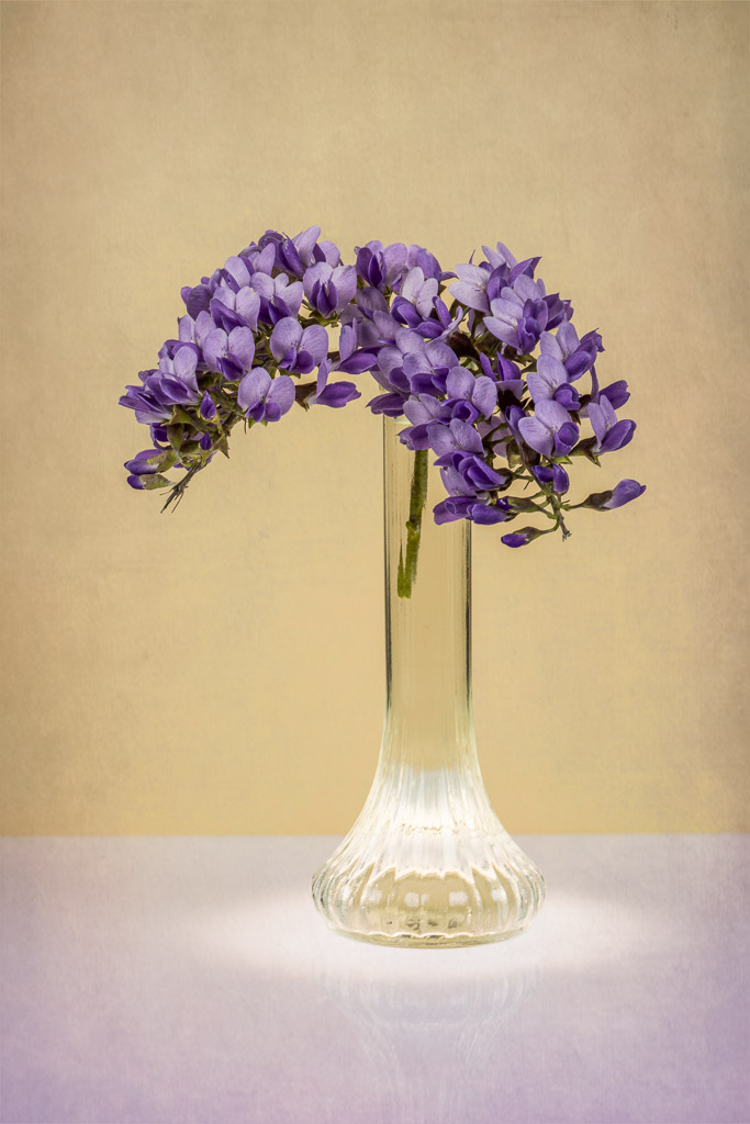 Meet Bill Ledbetter of Leander - Voyage Austin