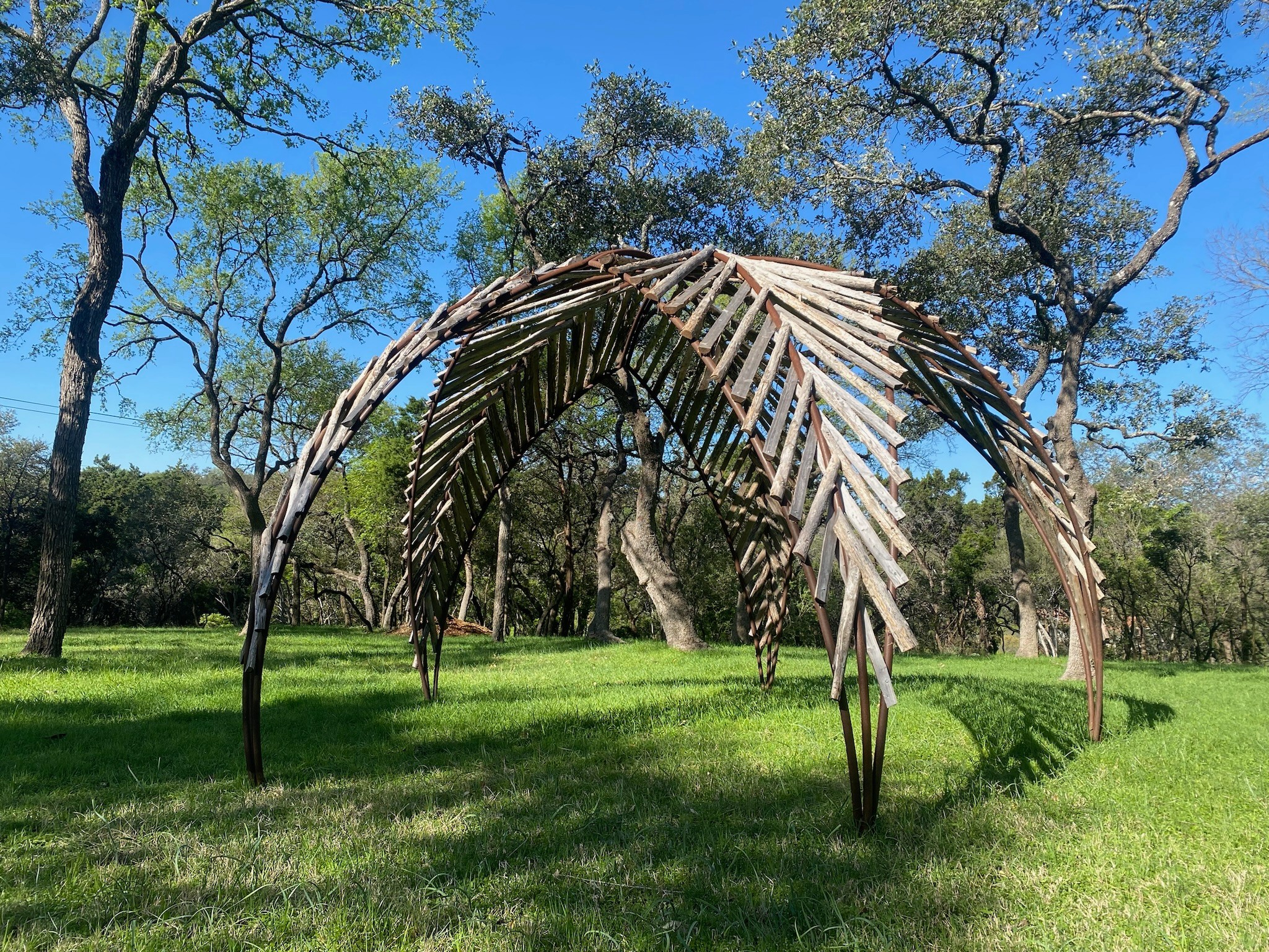 Daily Inspiration: Meet Chris Levack - Voyage Austin