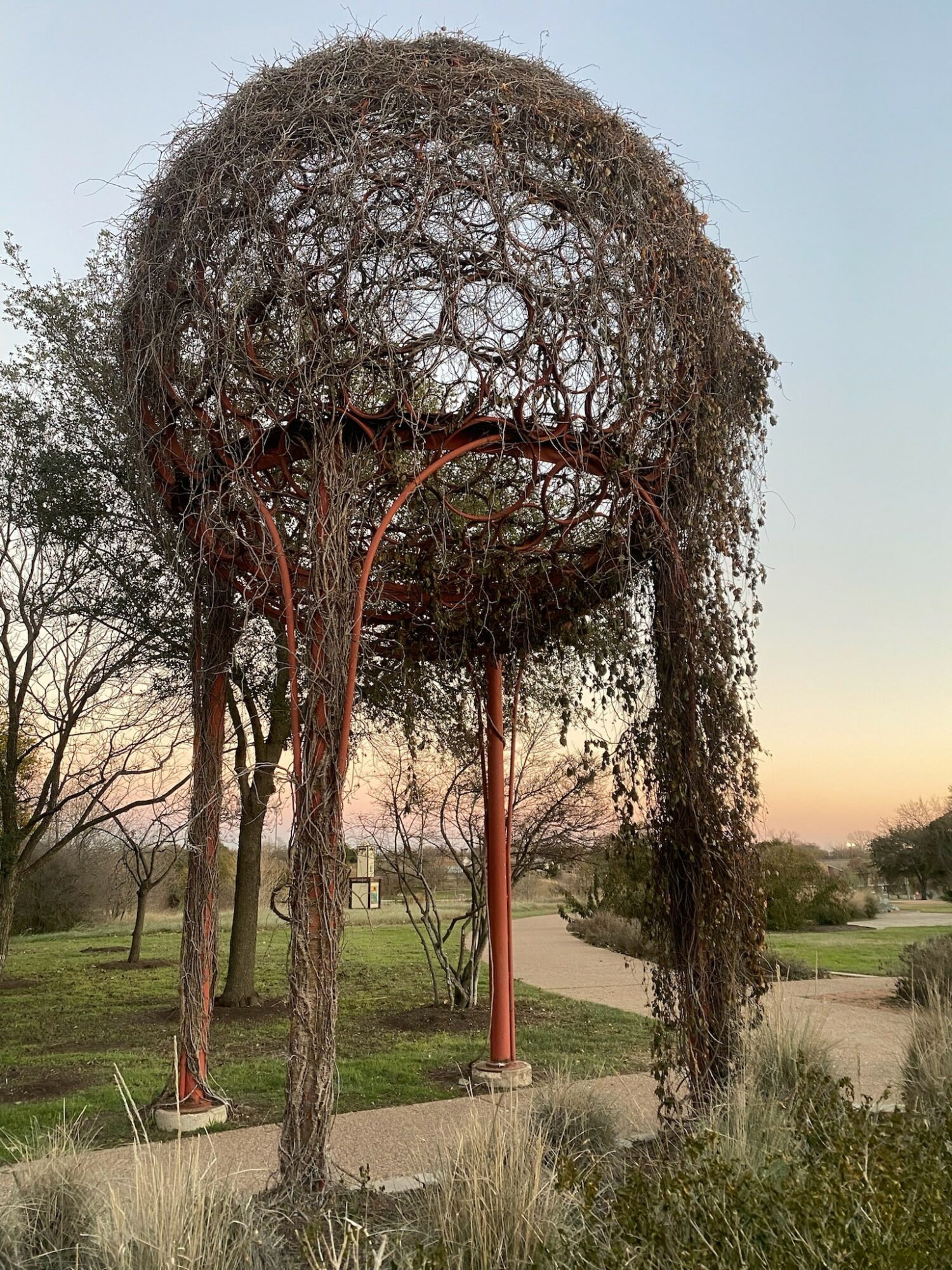 Daily Inspiration: Meet Chris Levack - Voyage Austin