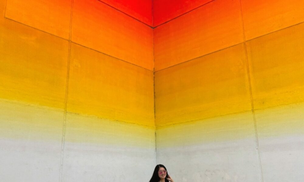 Rising Stars: Meet Lynna Vo of Austin - Voyage Austin