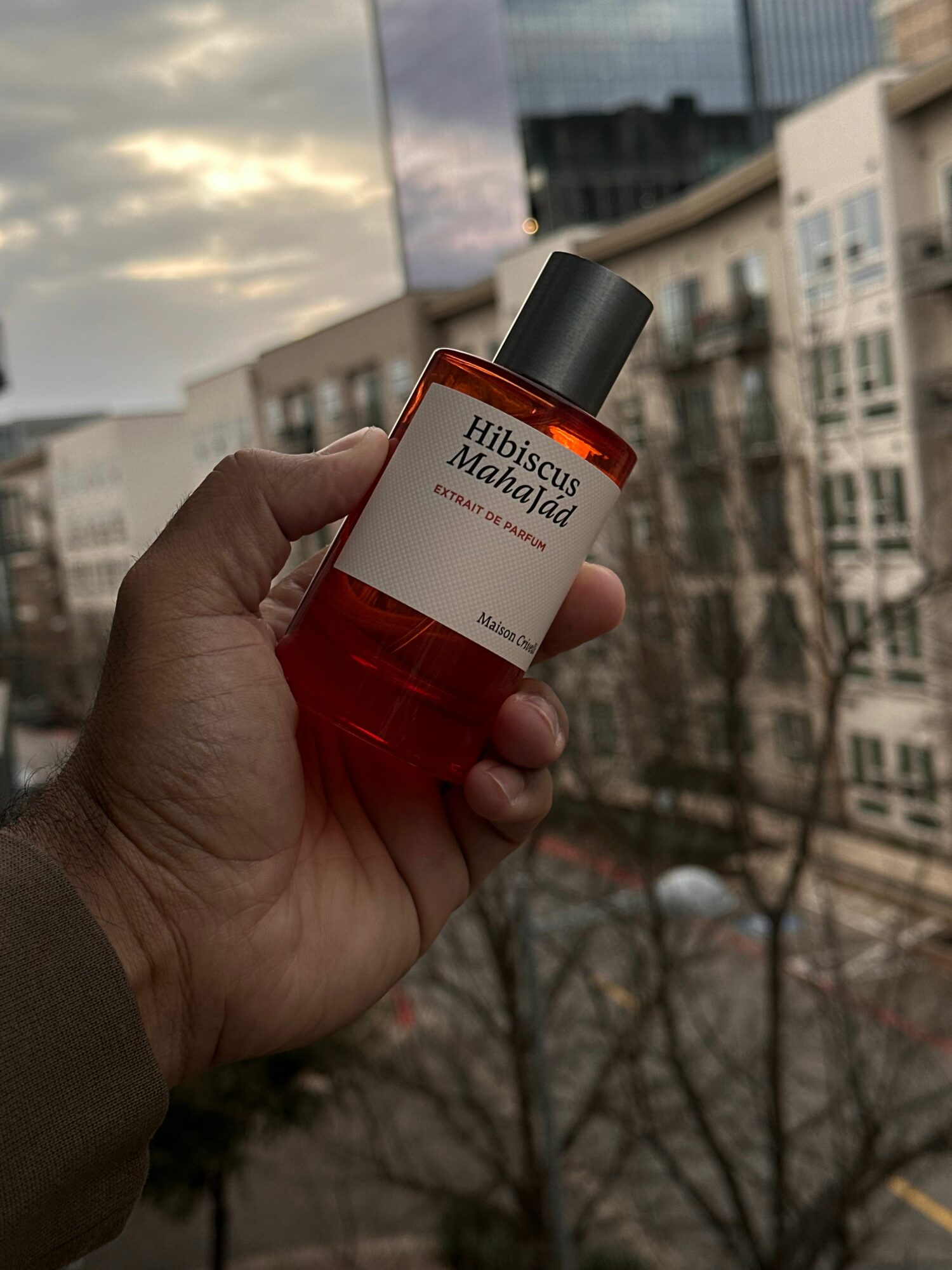 Life & Work with Omar Lopez of North Austin - Voyage Austin