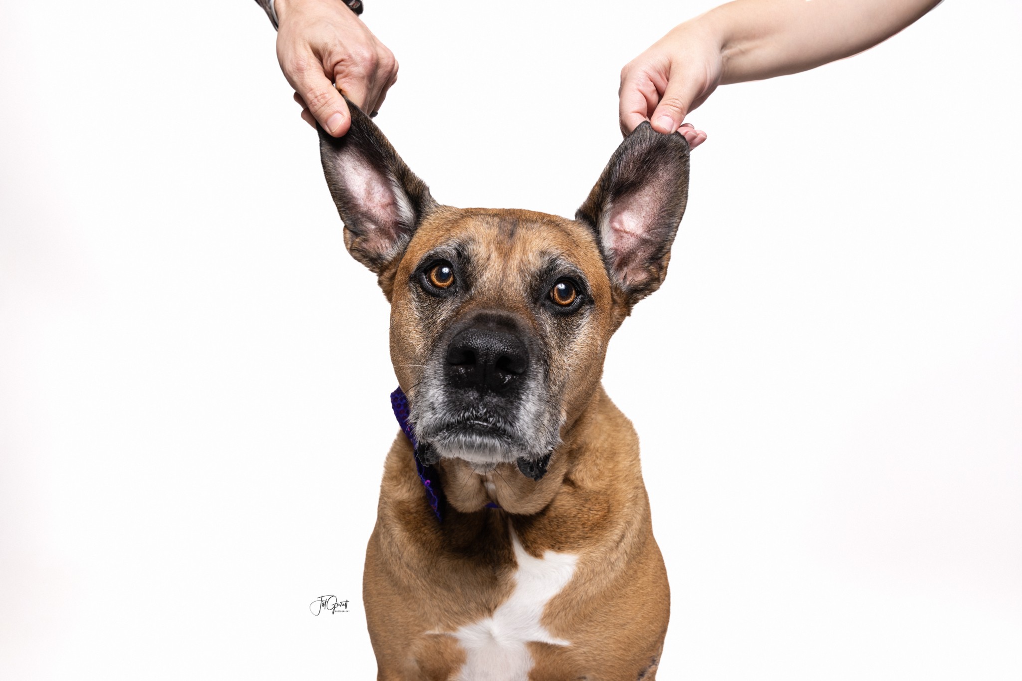 Daily Inspiration: Meet Jill Garrett - Voyage Austin