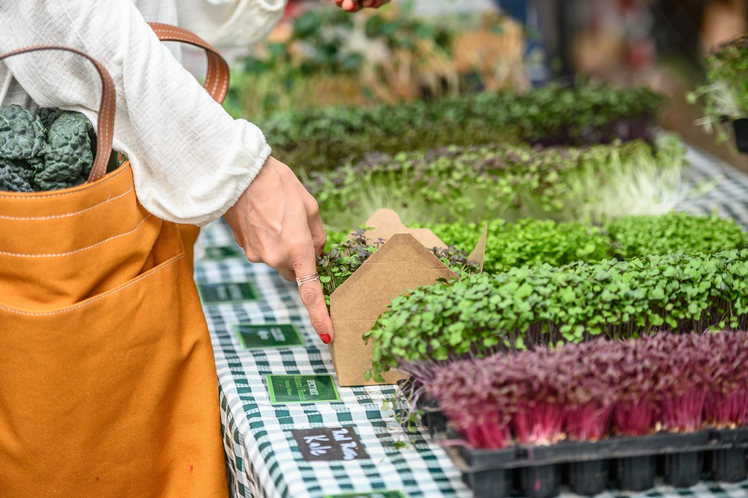 Daily Inspiration: Meet Colleen Flynn - Voyage Austin