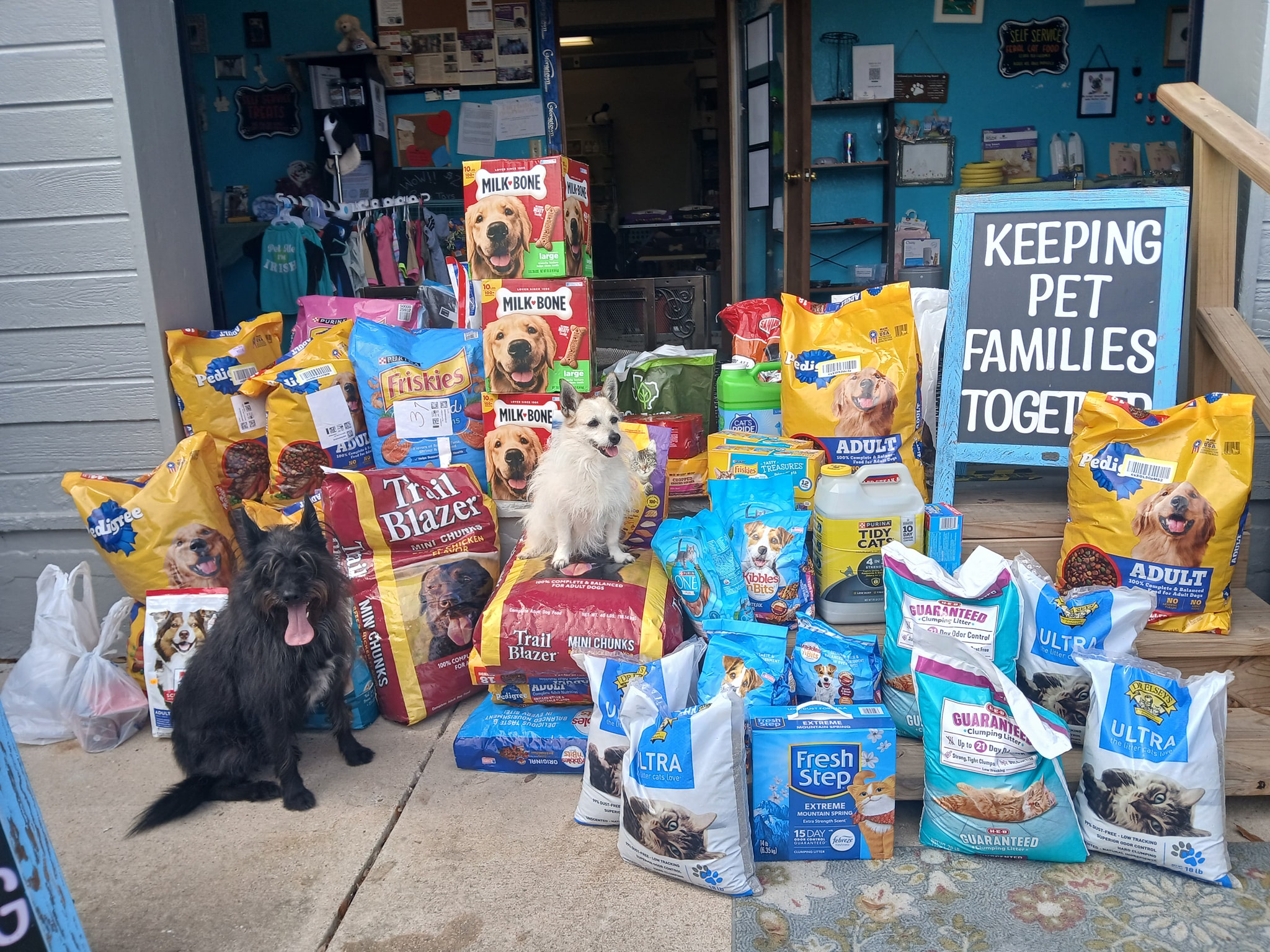 Life & Work with Korri Bindl of Georgetown - Voyage Austin