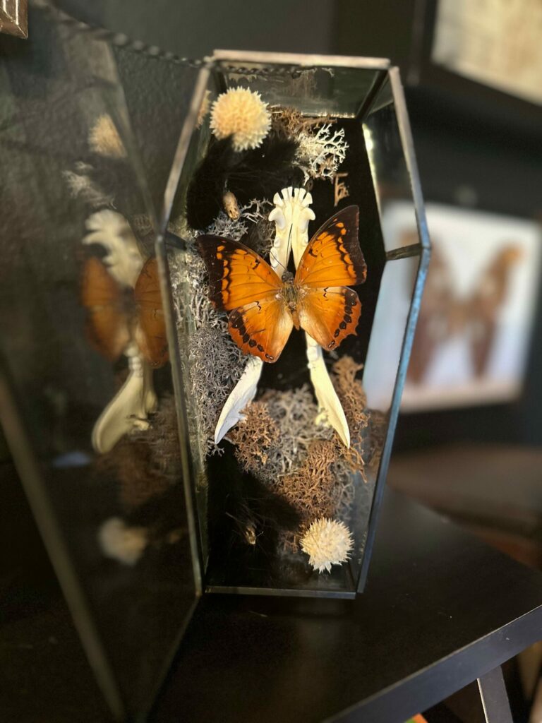 Rising Stars: Meet Steven And Julie Reeves of Round Rock - Voyage Austin