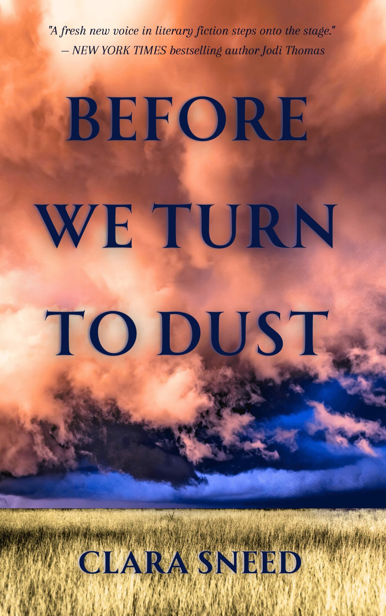 Conversations with Clara Sneed - Voyage Austin