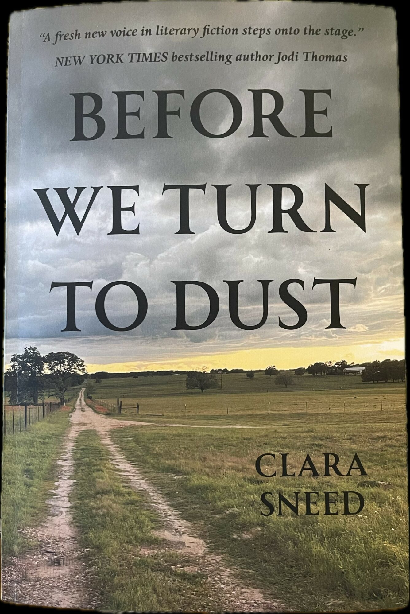 Conversations with Clara Sneed – Voyage Austin
