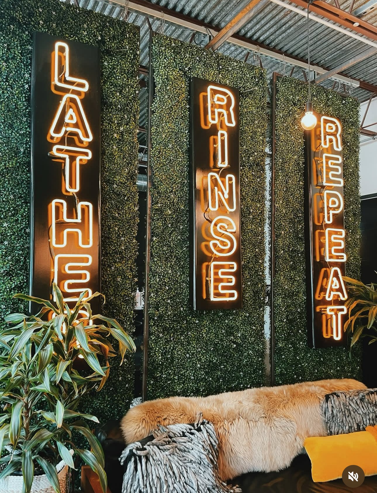 Conversations with Laura North - Voyage Austin