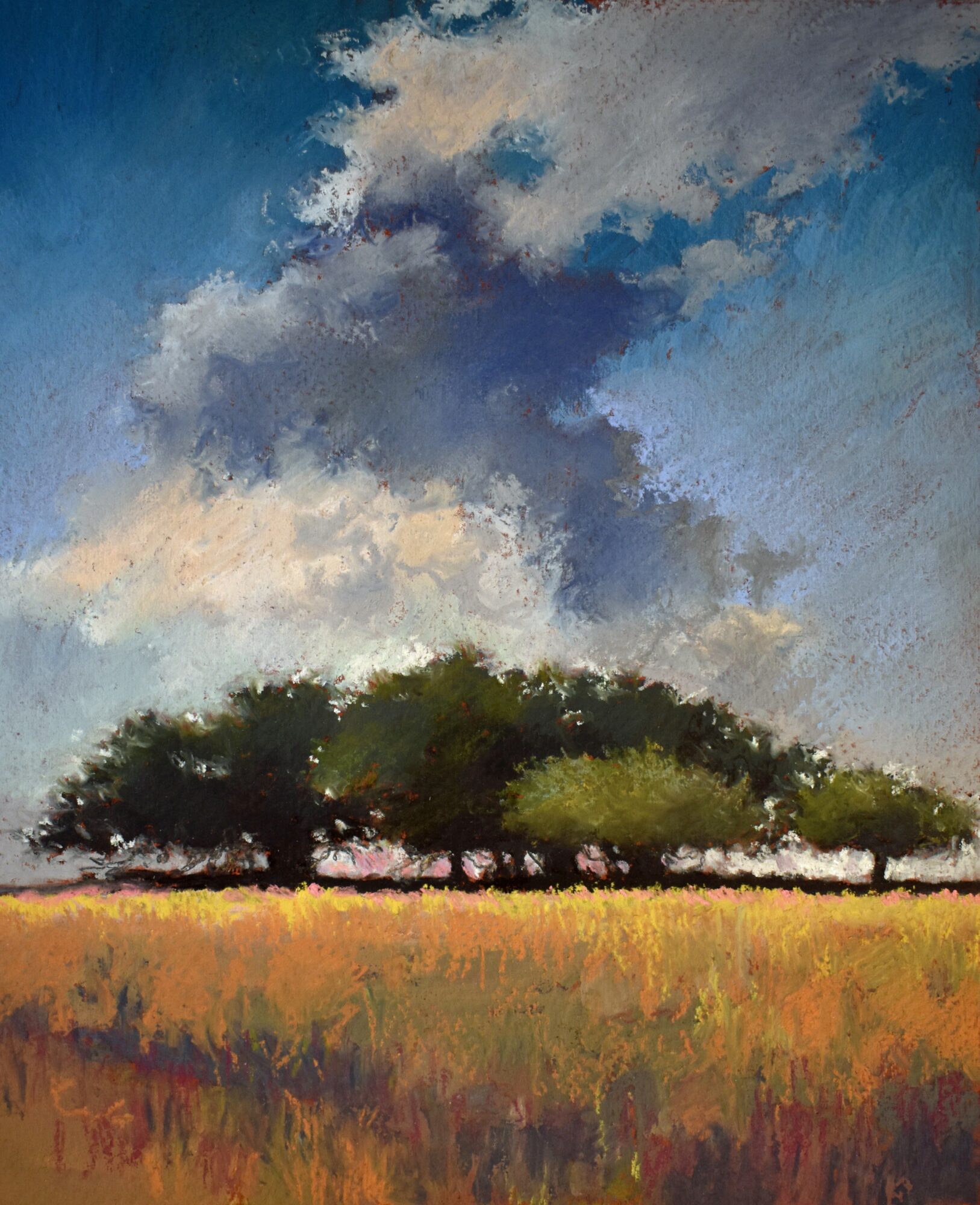 Meet Sandra Langston of Lampasas, Courthouse square - Voyage Austin