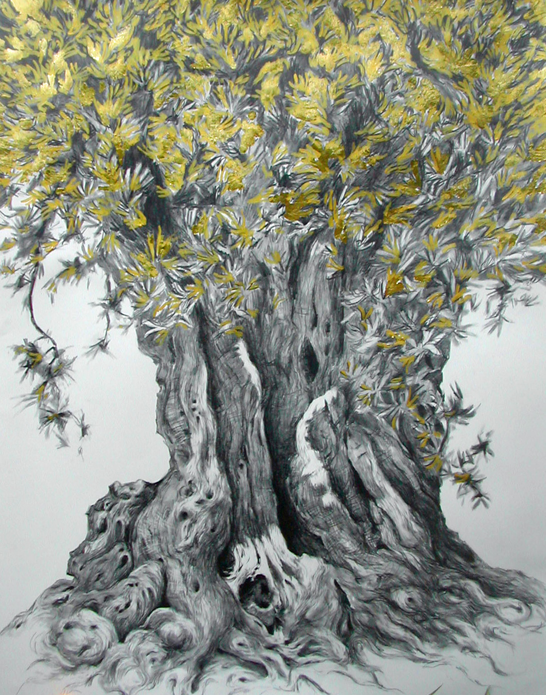 Meet Sandra Langston of Lampasas, Courthouse square - Voyage Austin