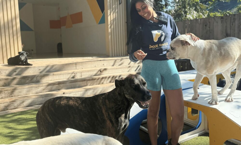 Hidden Gems: Meet Anjuli Singhal of Doggie Howser Pet Social Club ...